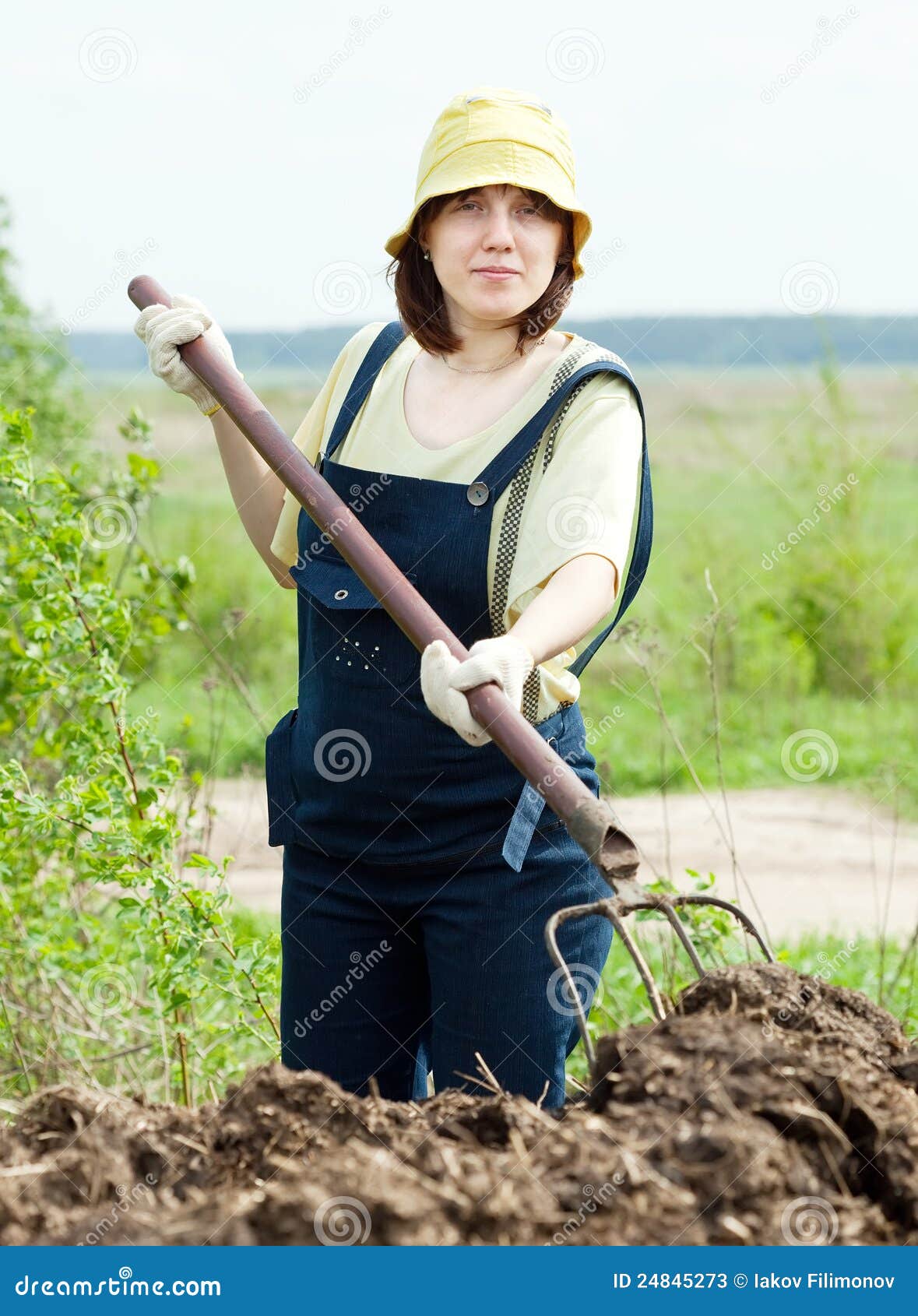 Woman Works with Animal Manure Stock Image - Image of outdoors, digging ...