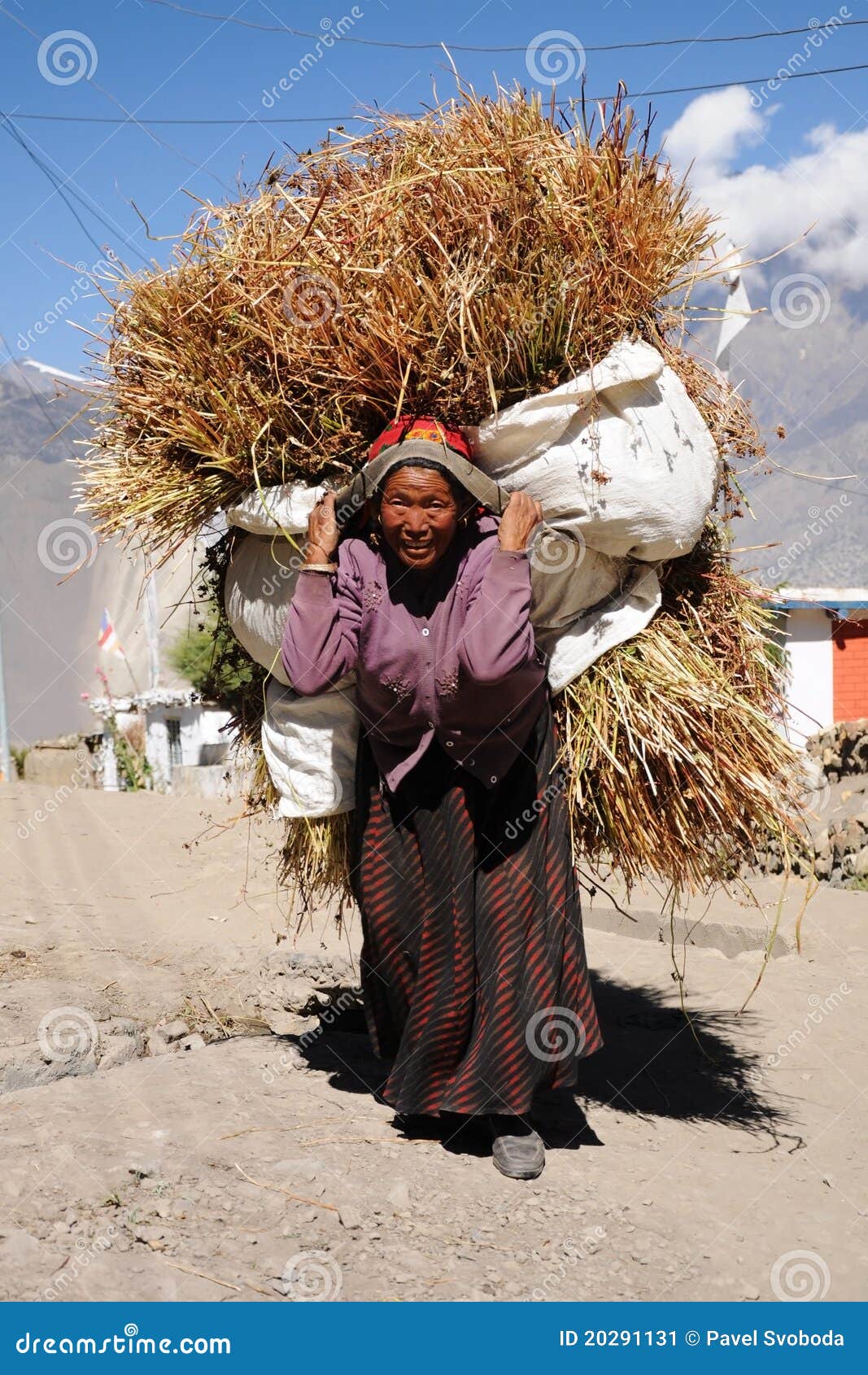 Woman Works As Porter, Nepal Editorial Photo - Image of himalaya, asia ...