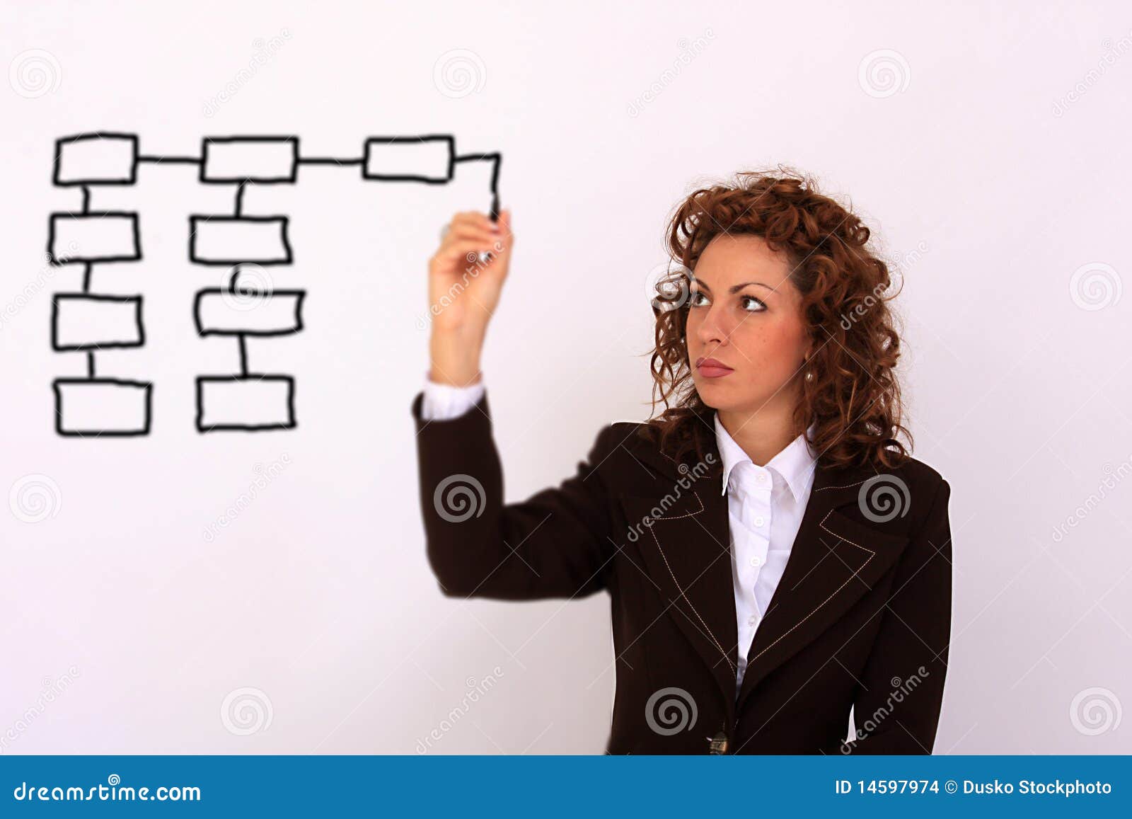 Woman Is Writing A Diagram Picture. Image: 14597974