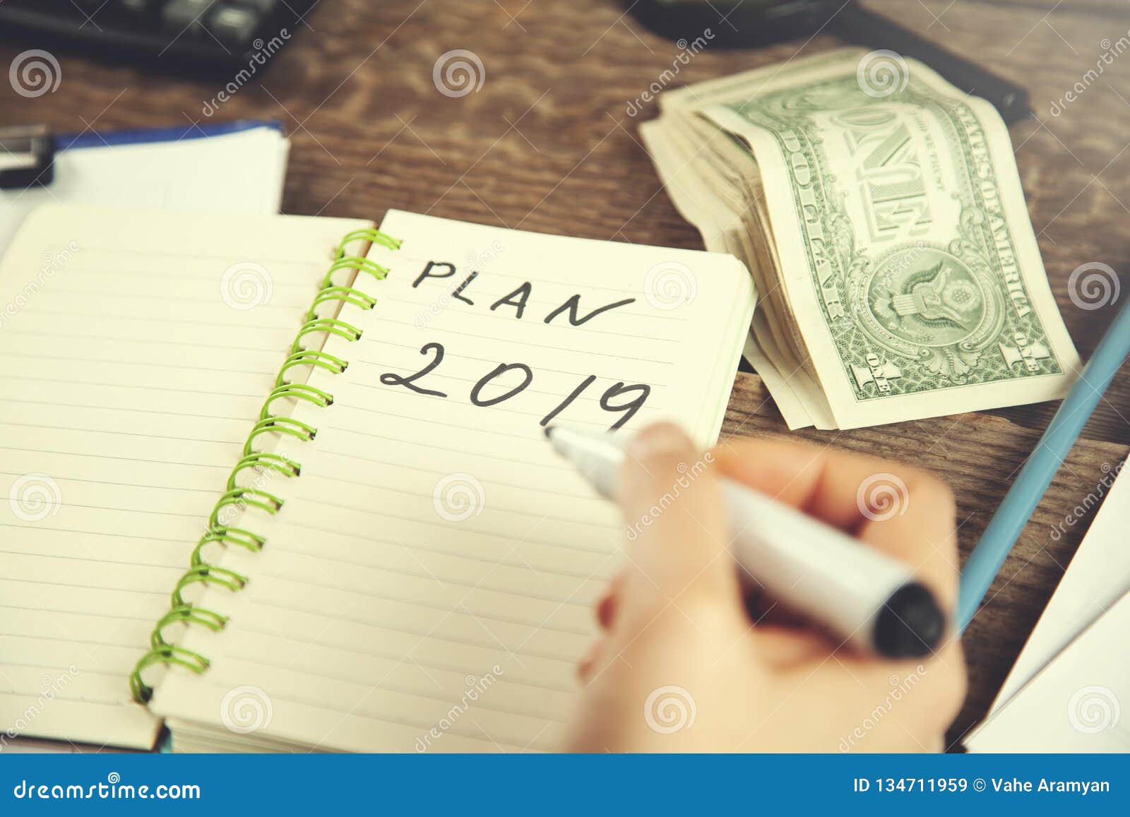 Woman Written Plan 2019 Text Stock Image - Image of management, hand ...