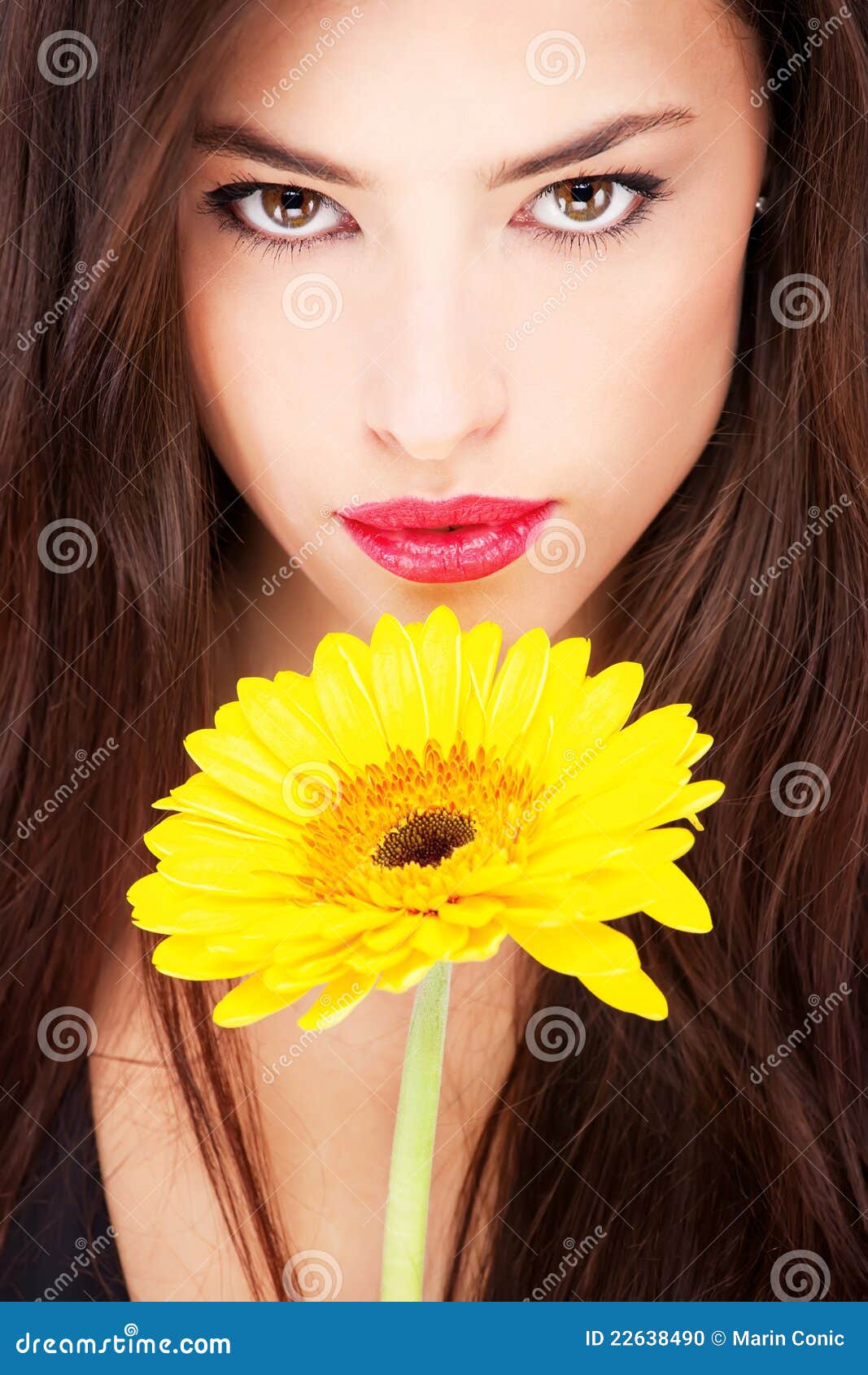 Woman and yellow daisy stock photo. Image of desire, attractive - 22638490