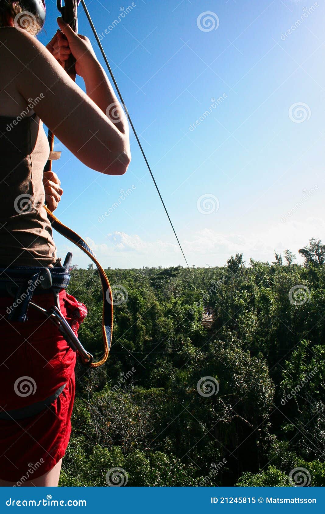 Woman on a zipline stock image. Image of branch, green - 21245815
