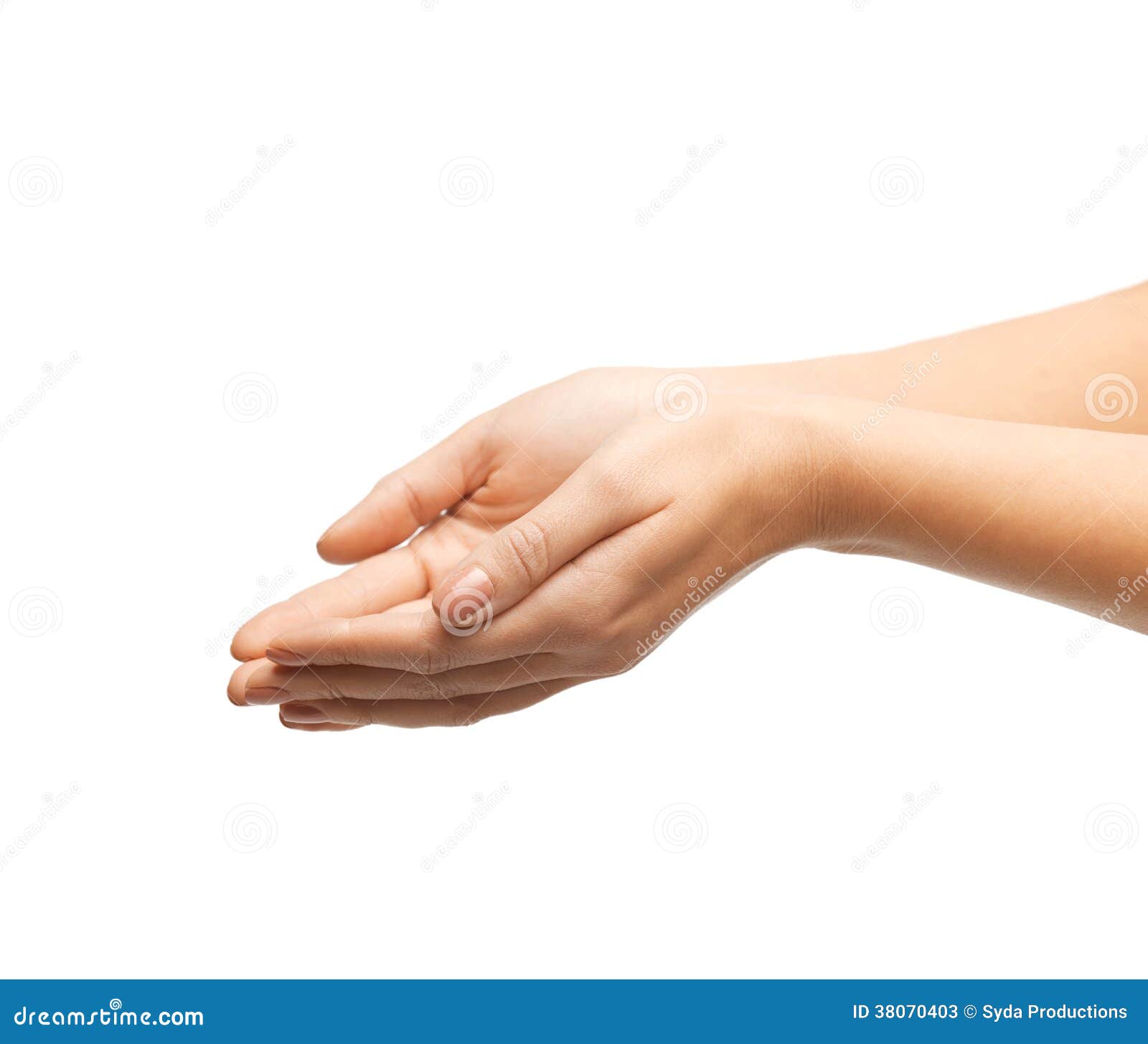 Womans cupped hands stock image. Image of european, cupped - 38070403