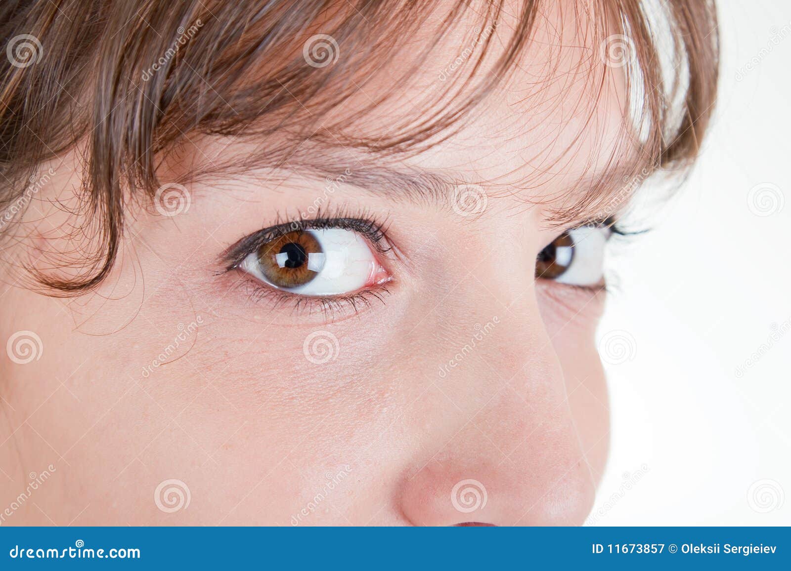 Womans eyes stock image. Image of glamour, macro, beautiful - 11673857