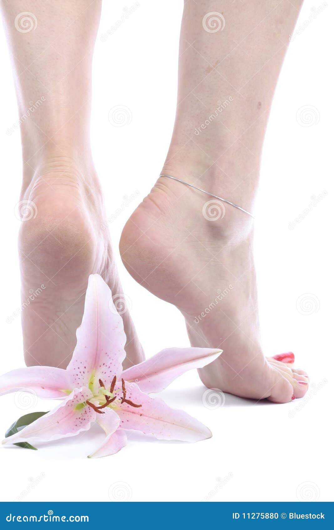 Womans feet and flower stock photo. Image of closeup - 11275880