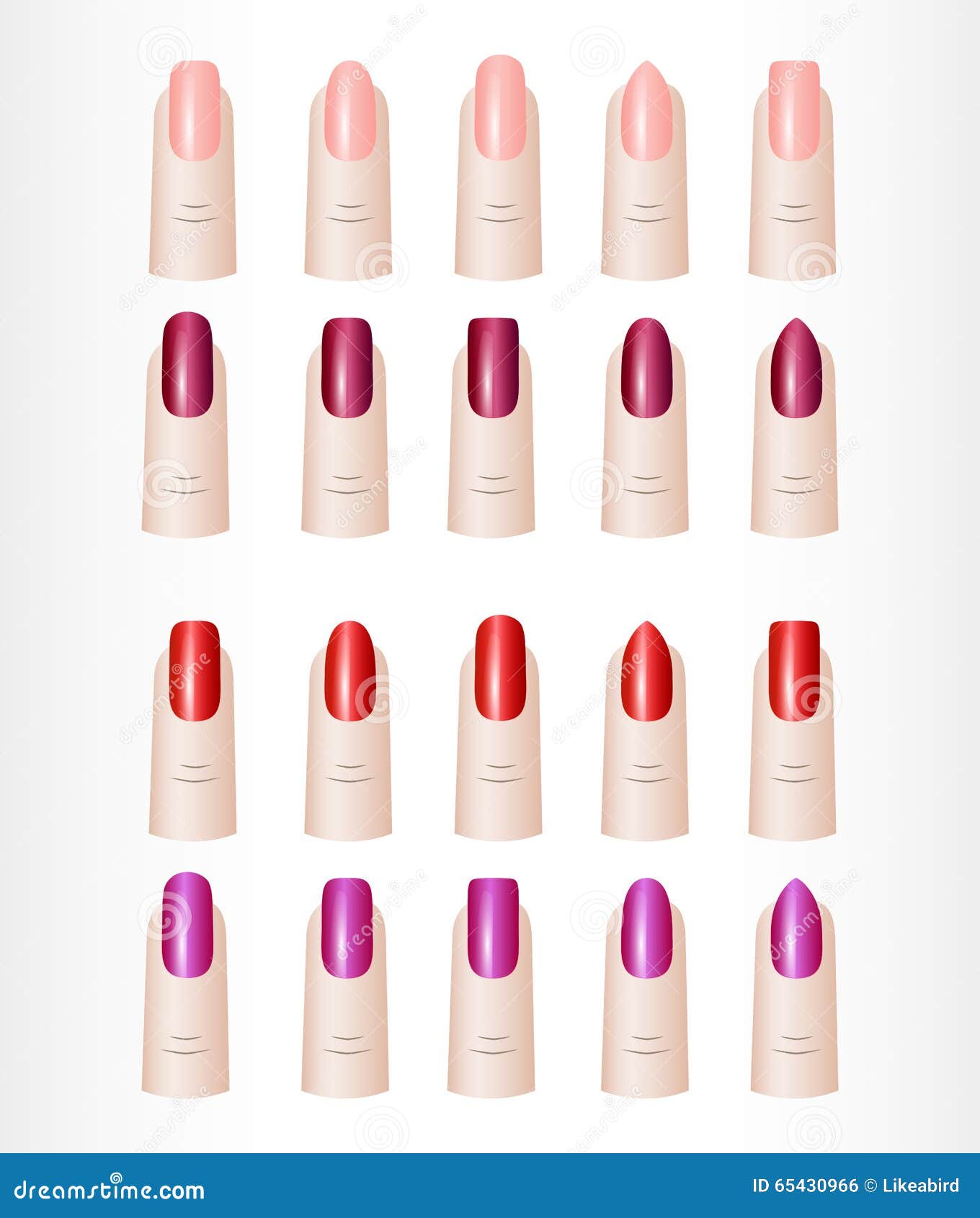 Womans Fingers. Color Set of Different Shapes of Nails Stock Vector ...