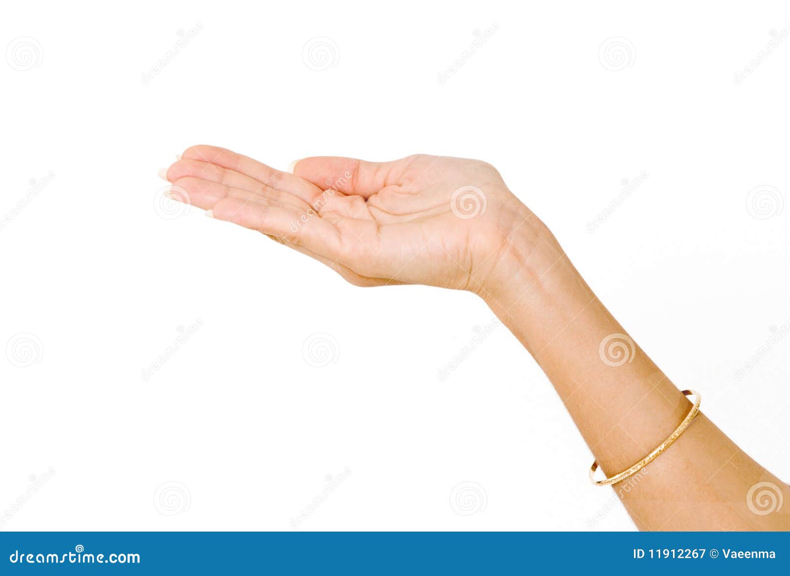 Womans hand stock image. Image of person, closeup, palm - 11912267