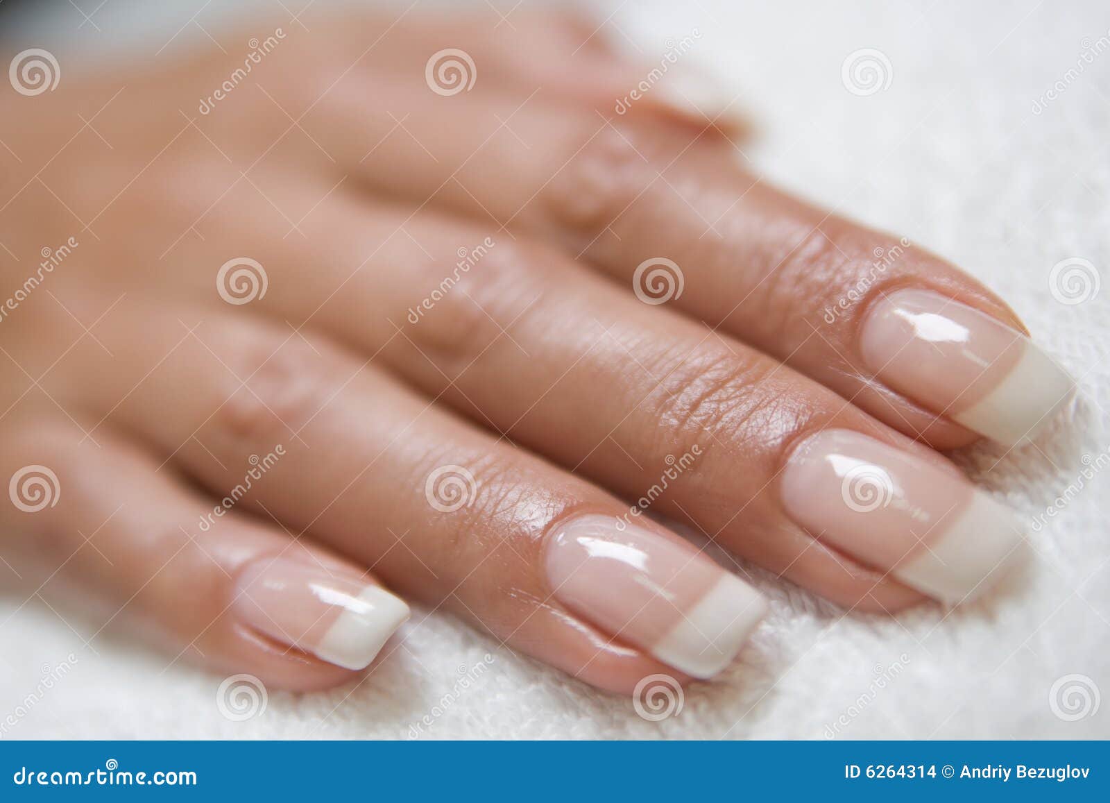 Womans hand stock photo. Image of female, grooming, health - 6264314