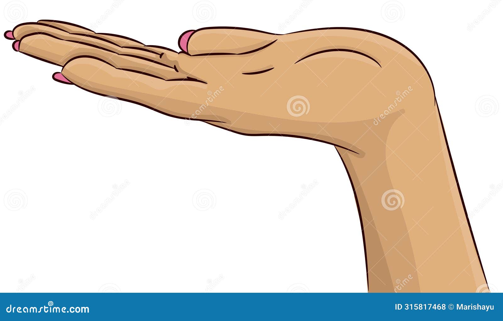 Womans Hand Keep Something Isolated on White Stock Vector ...