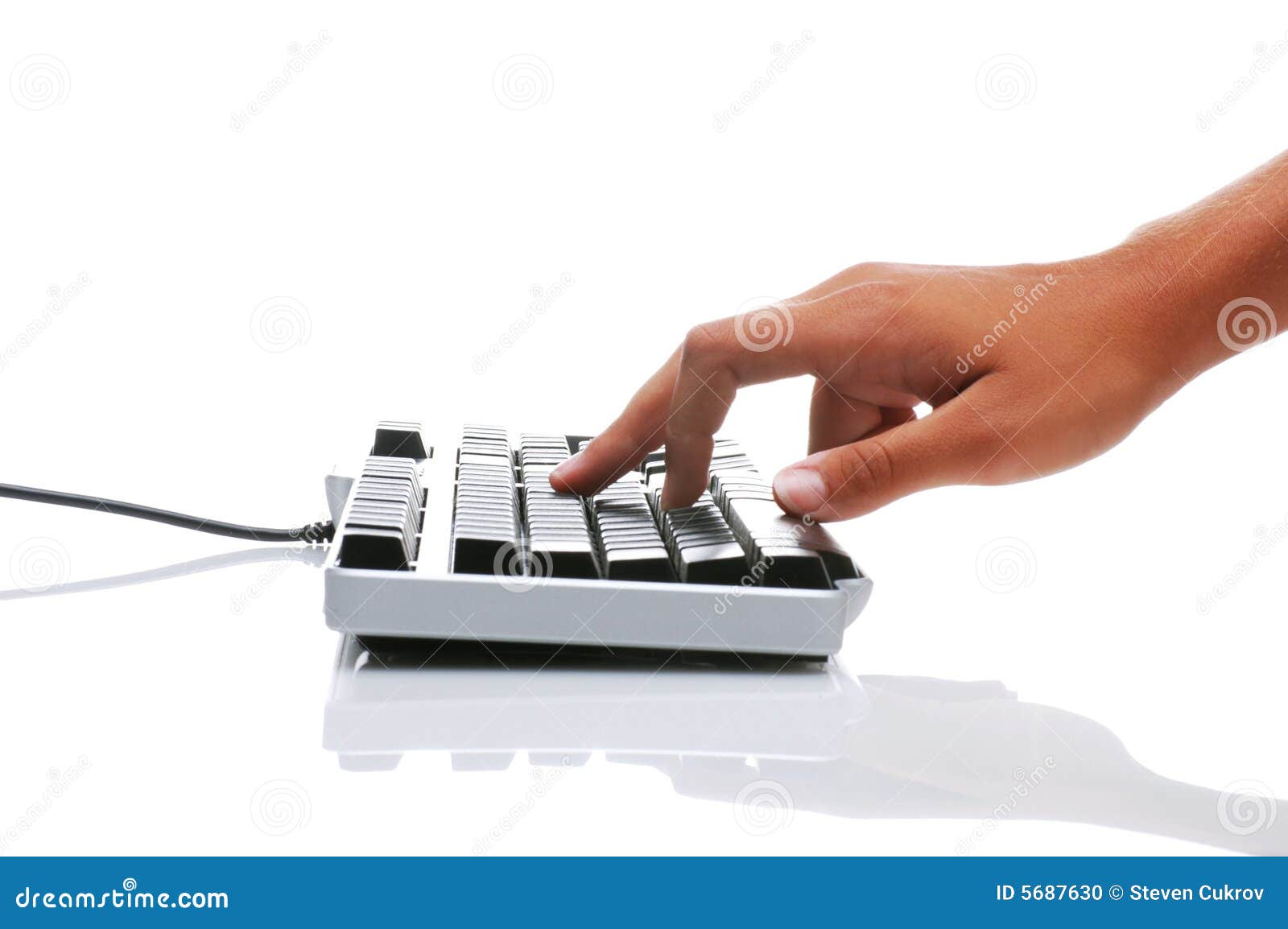 Womans Hand and Keyboard stock photo. Image of typing - 5687630