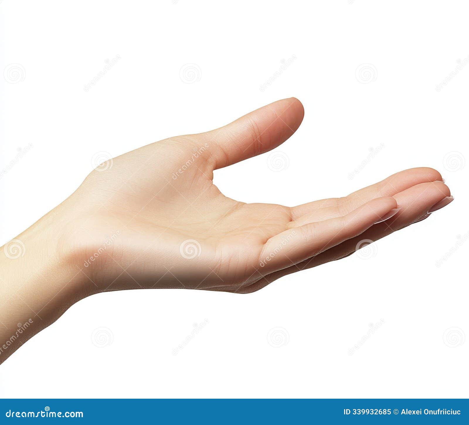 A Womans Hand Reaches Out Towards Something on a White Background Stock ...