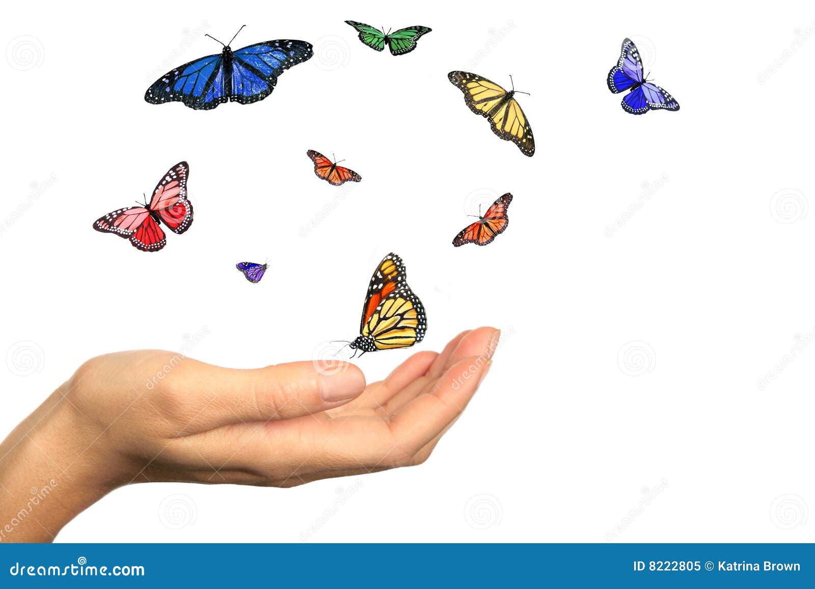 Womans Hand Releasing Beautiful Butterflies Stock Image - Image of ...