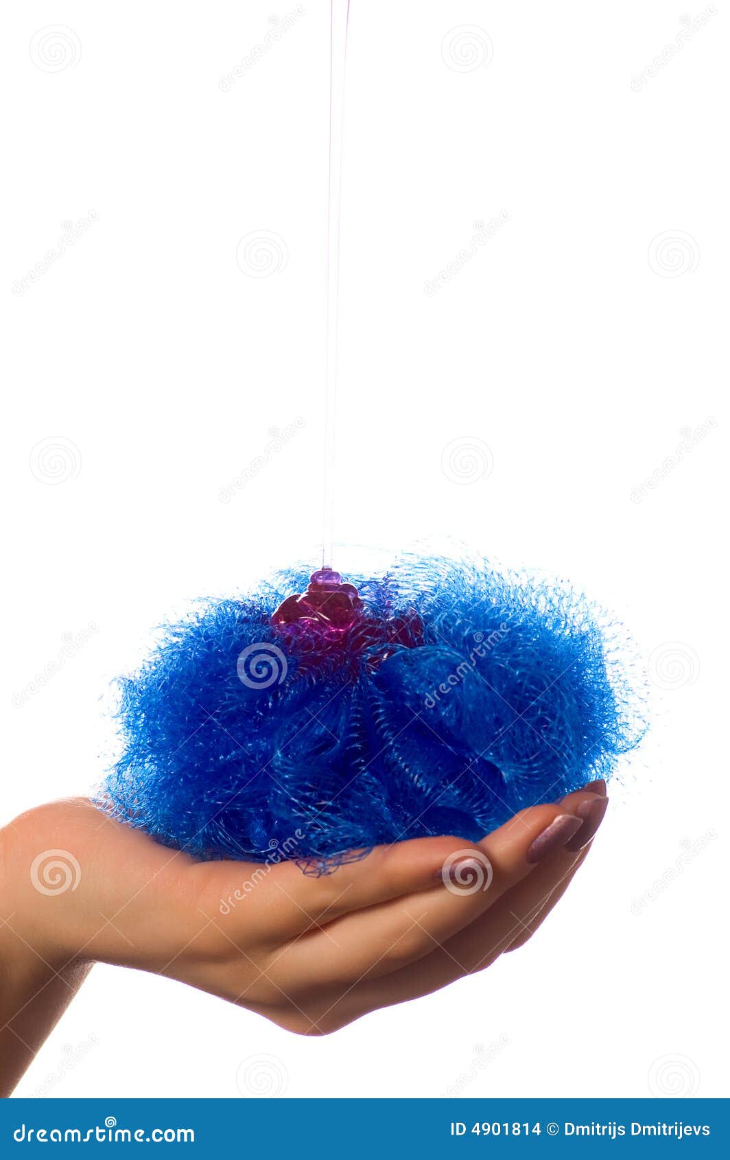 Womans Hand with Sponge and Soap Gel Stock Photo - Image of lifestyle ...