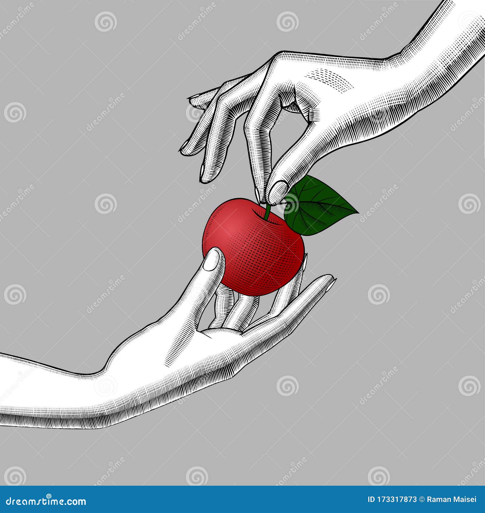 Womans hands with an apple stock vector. Illustration of classic ...