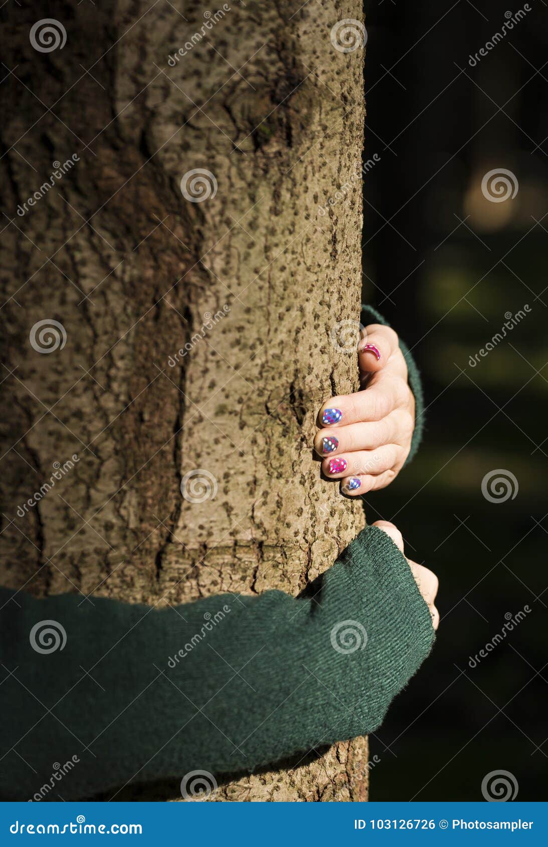 Womans Hands are Holding a Tree. Stock Photo - Image of closeup ...
