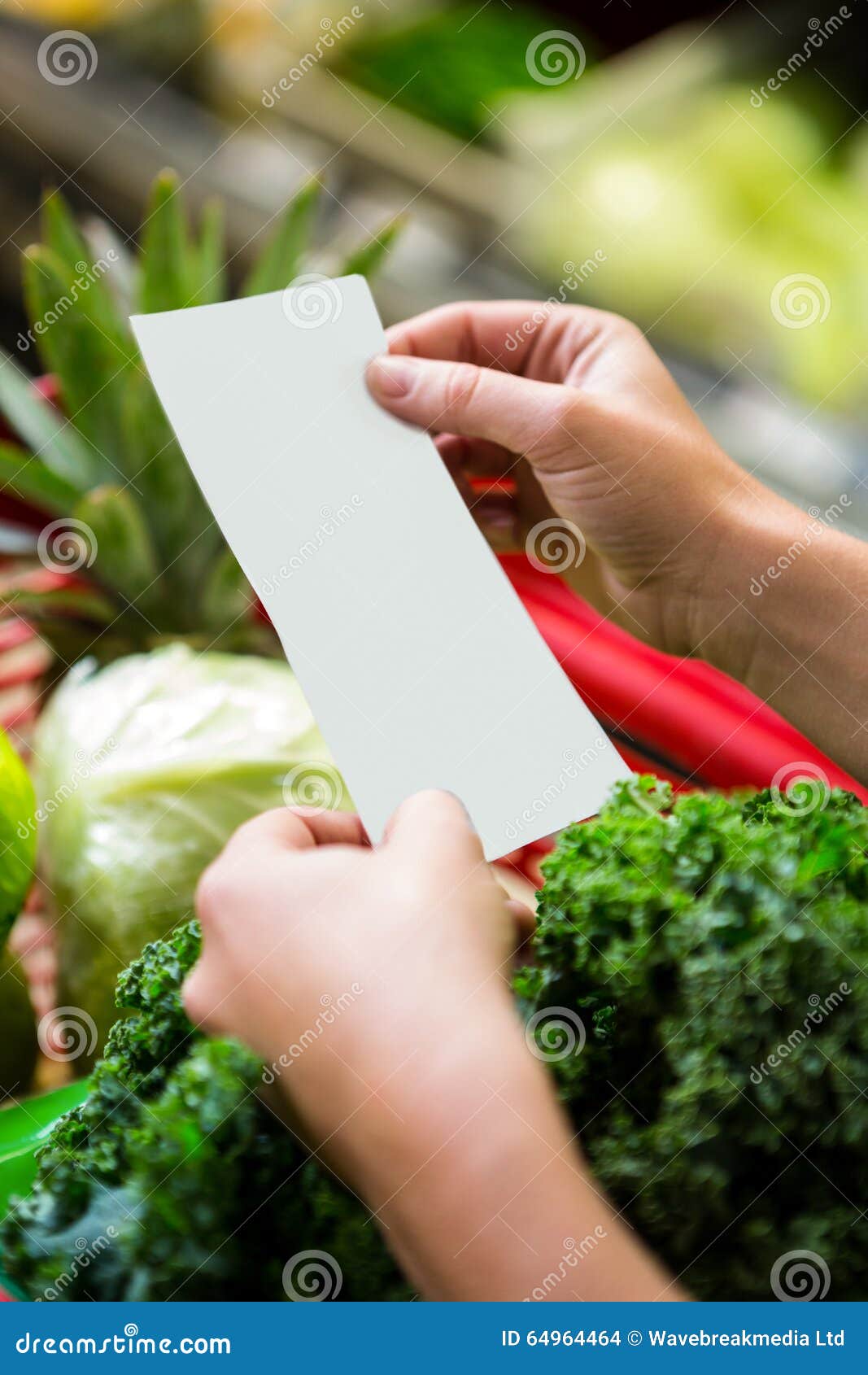 Womans hands holding list stock photo. Image of list - 64964464