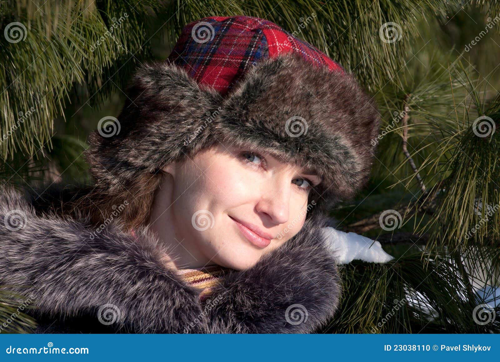 Womans Portrait in a Fur Tree Stock Photo - Image of tree, beautiful ...