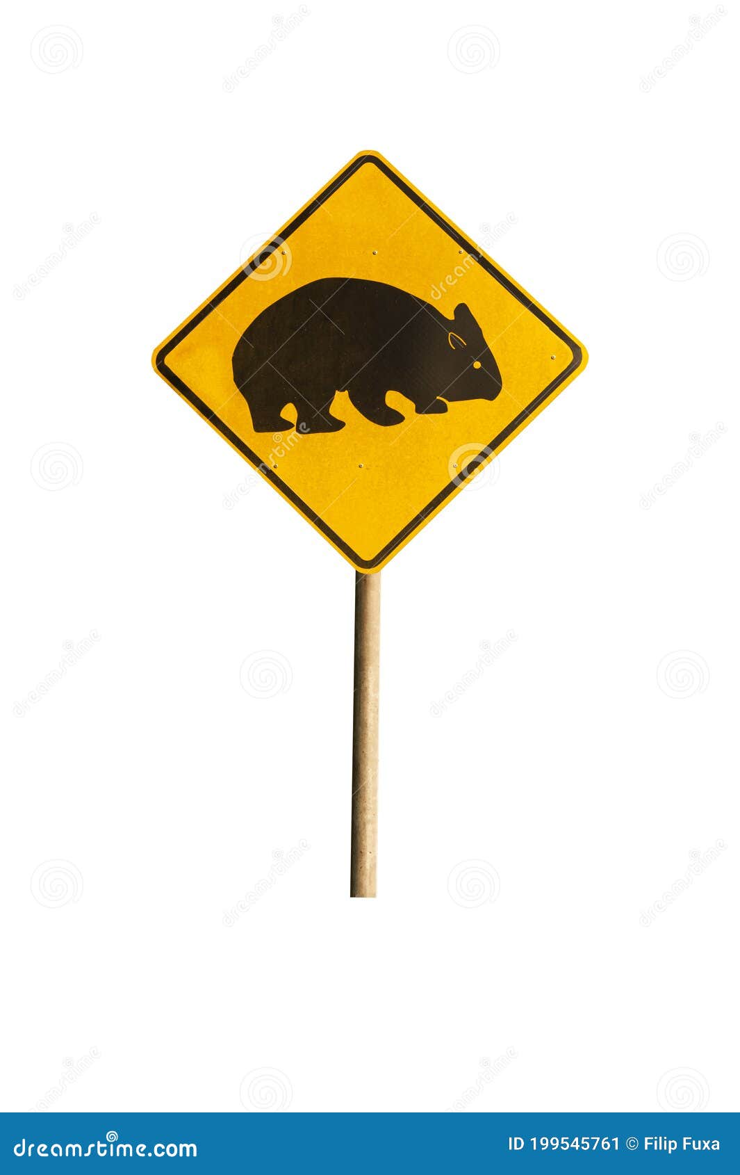 Wombat Caution Sign Isolated on White Stock Image - Image of transport ...