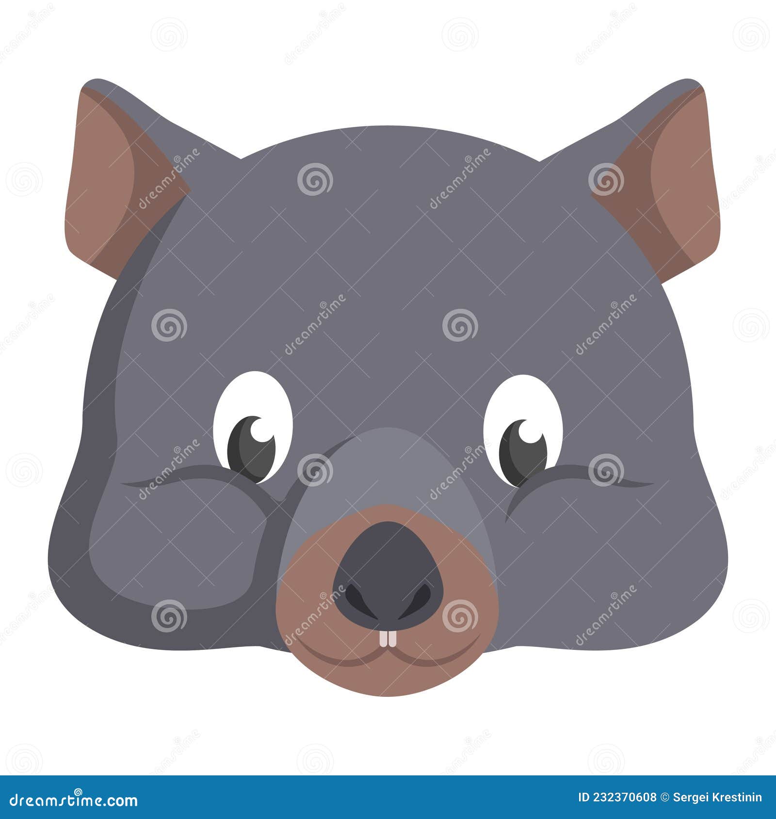 Wombat Face Vector Illustration Flat Style Front | CartoonDealer.com ...