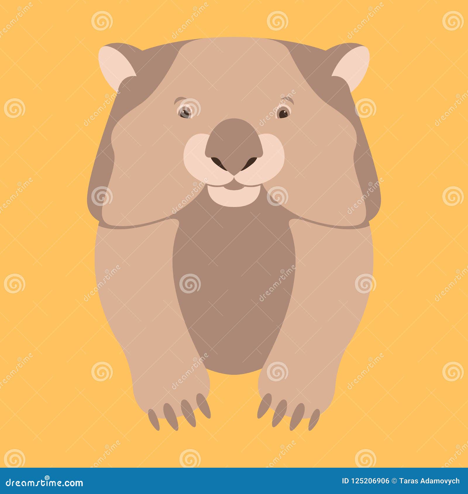 Wombat Face Vector Illustration Flat Style Front Stock Vector ...