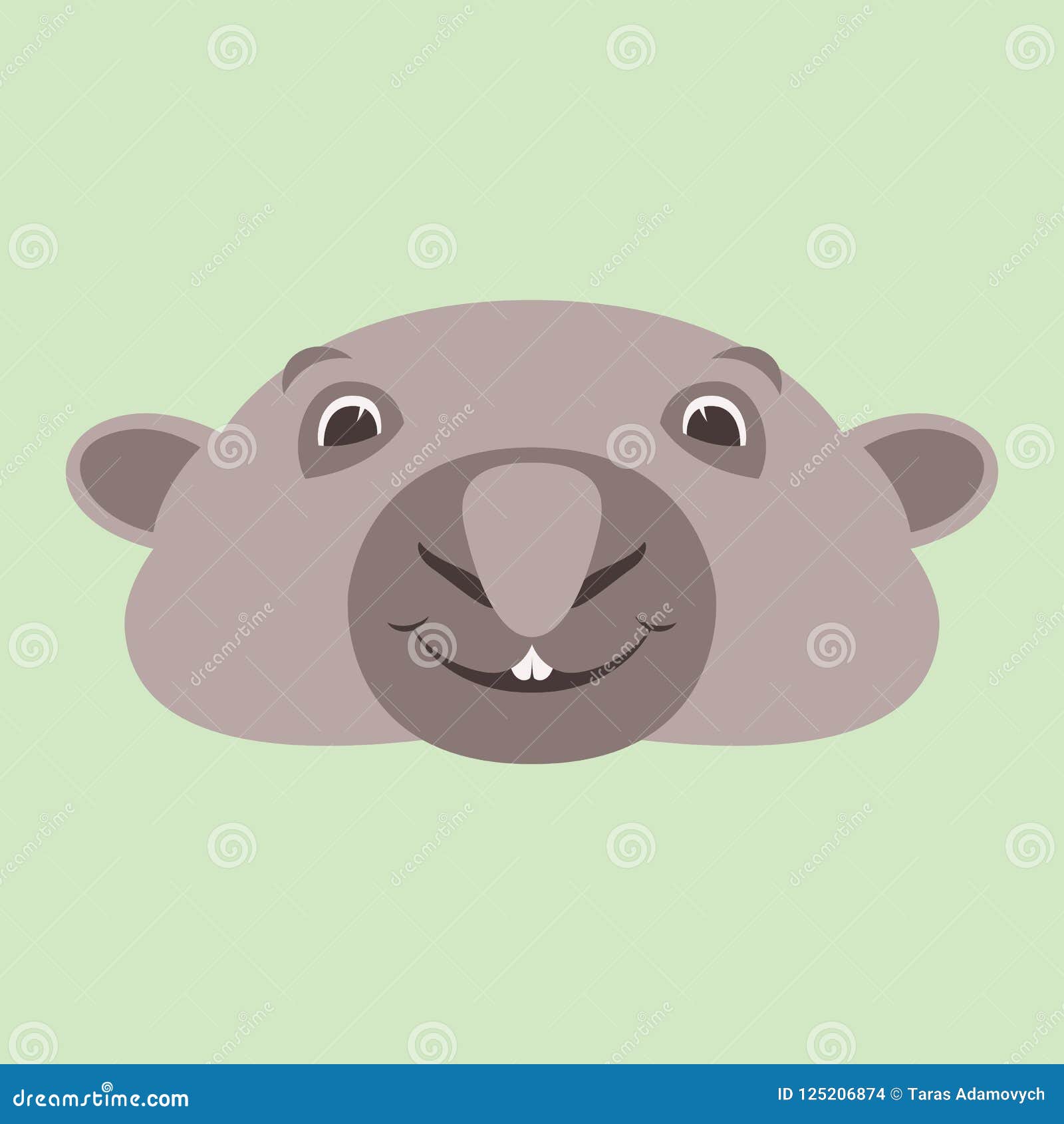 Wombat Face Vector Illustration Flat Style Front | CartoonDealer.com ...