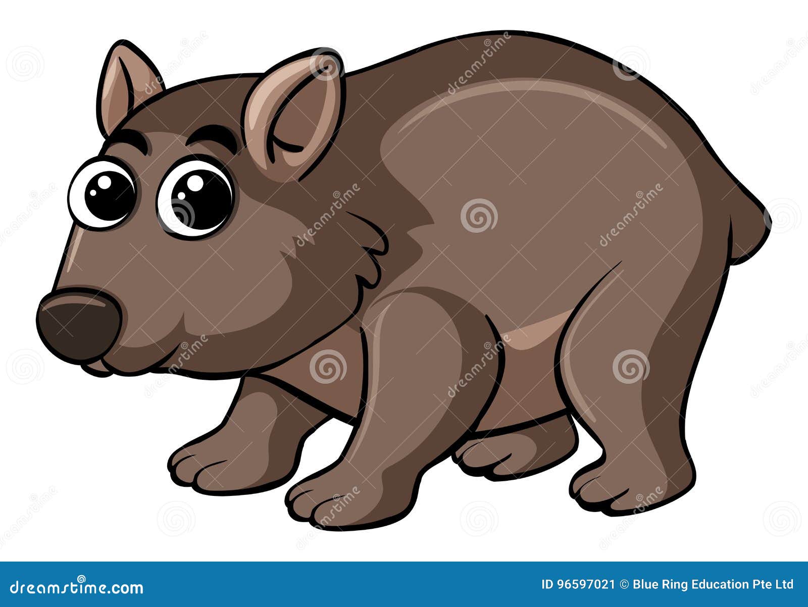 Wombat Face Vector Illustration Flat Style Front | CartoonDealer.com ...