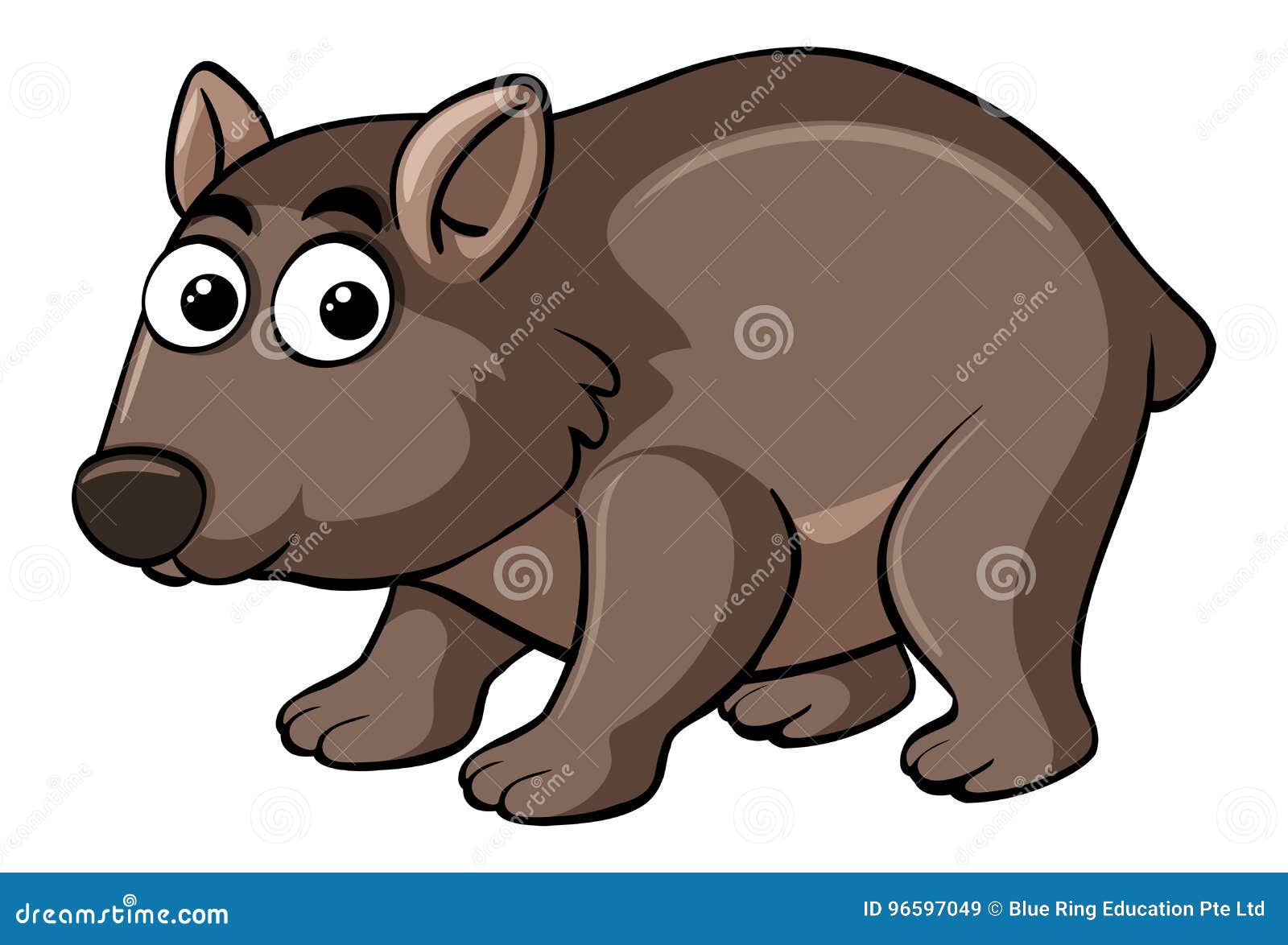 Wombat Face Vector Illustration Flat Style Front | CartoonDealer.com ...