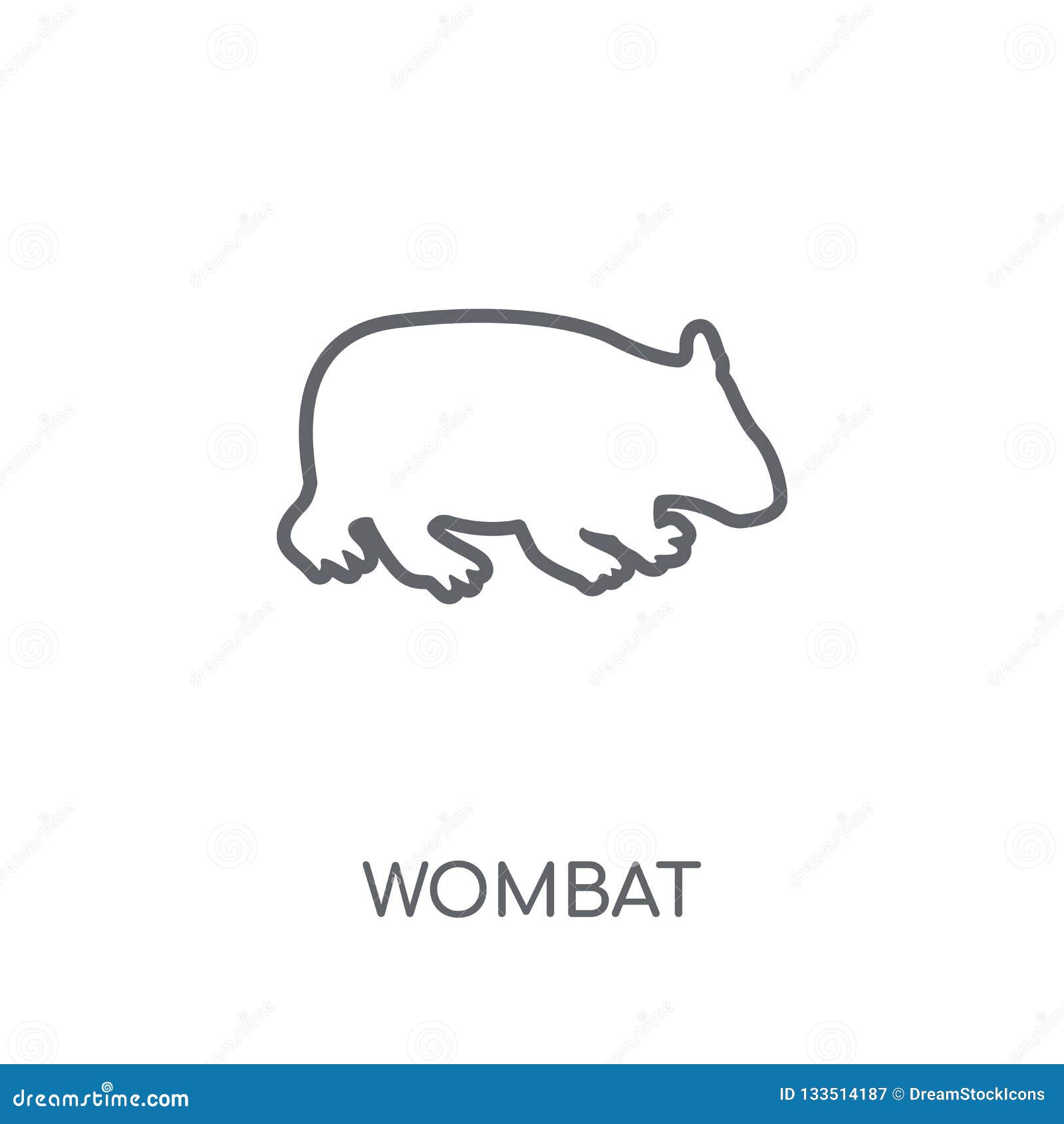 Wombat Linear Icon. Modern Outline Wombat Logo Concept on White Stock ...