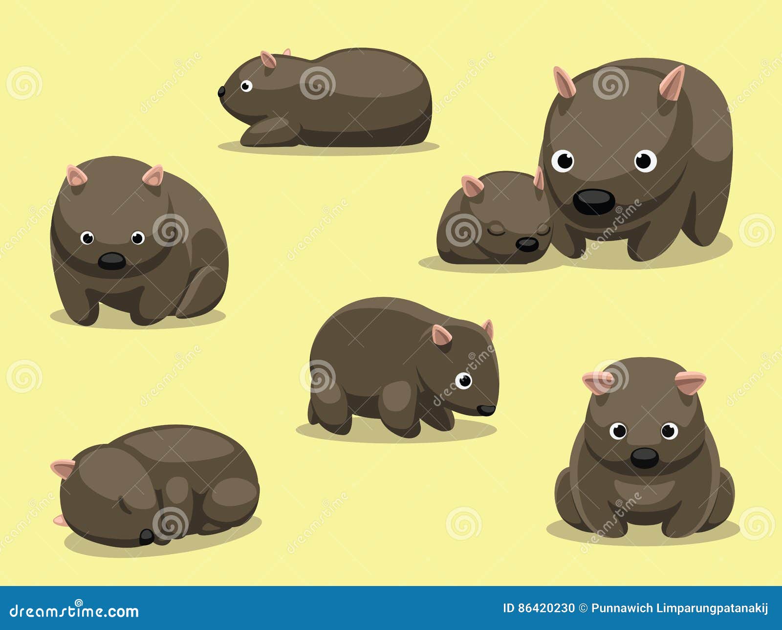 Wombat Poses Cartoon Vector Illustration Stock Vector - Illustration of ...