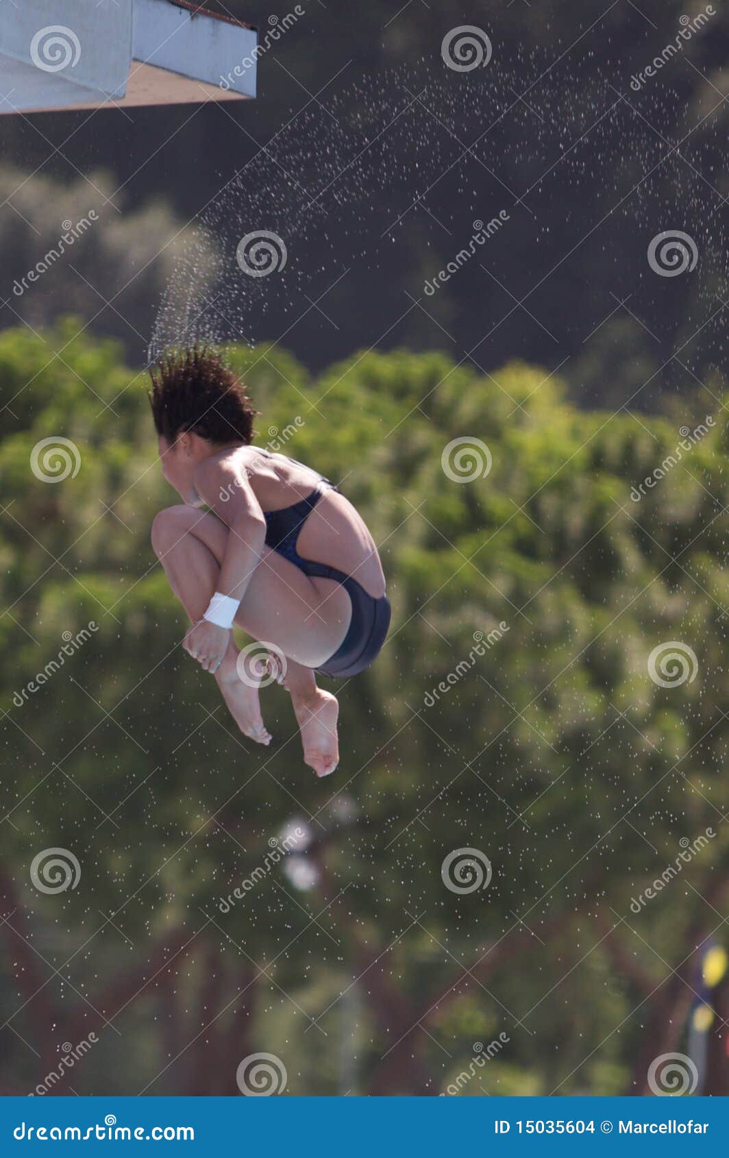 Women 10m Diving Finals - Rome09 Editorial Stock Image - Image of ...