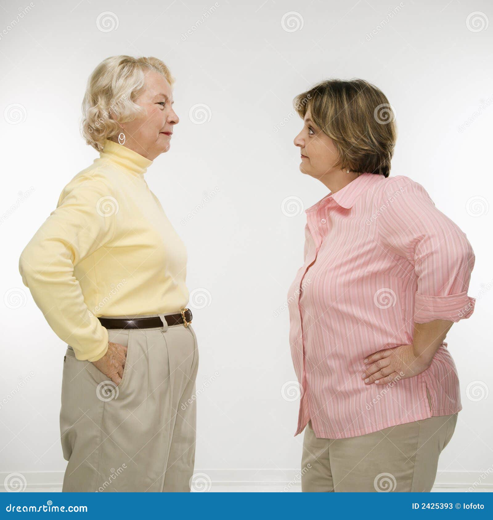 Women arguing. stock image. Image of 070116w0369, colour - 2425393