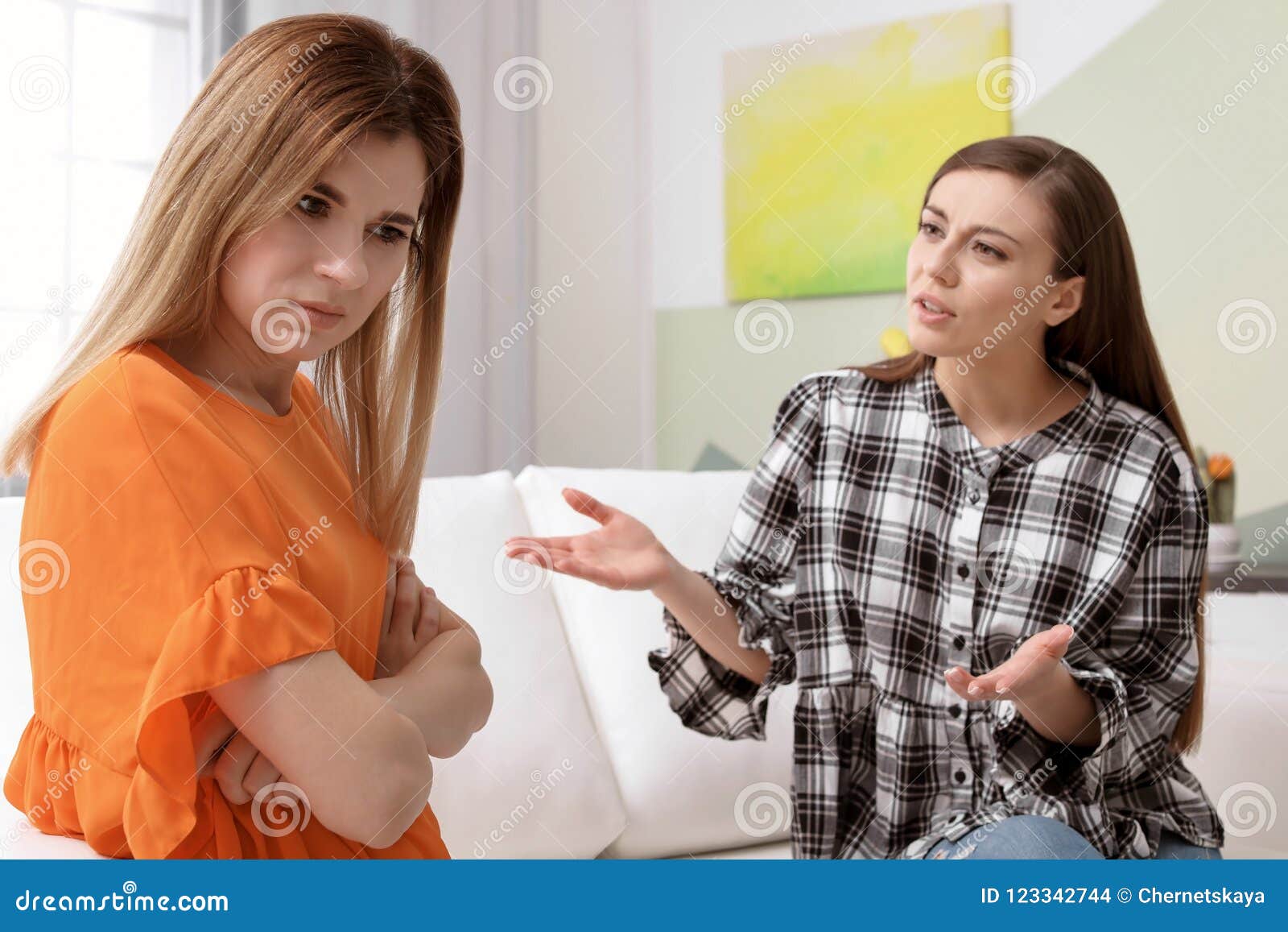 Women arguing on sofa stock photo. Image of home, relationship - 123342744