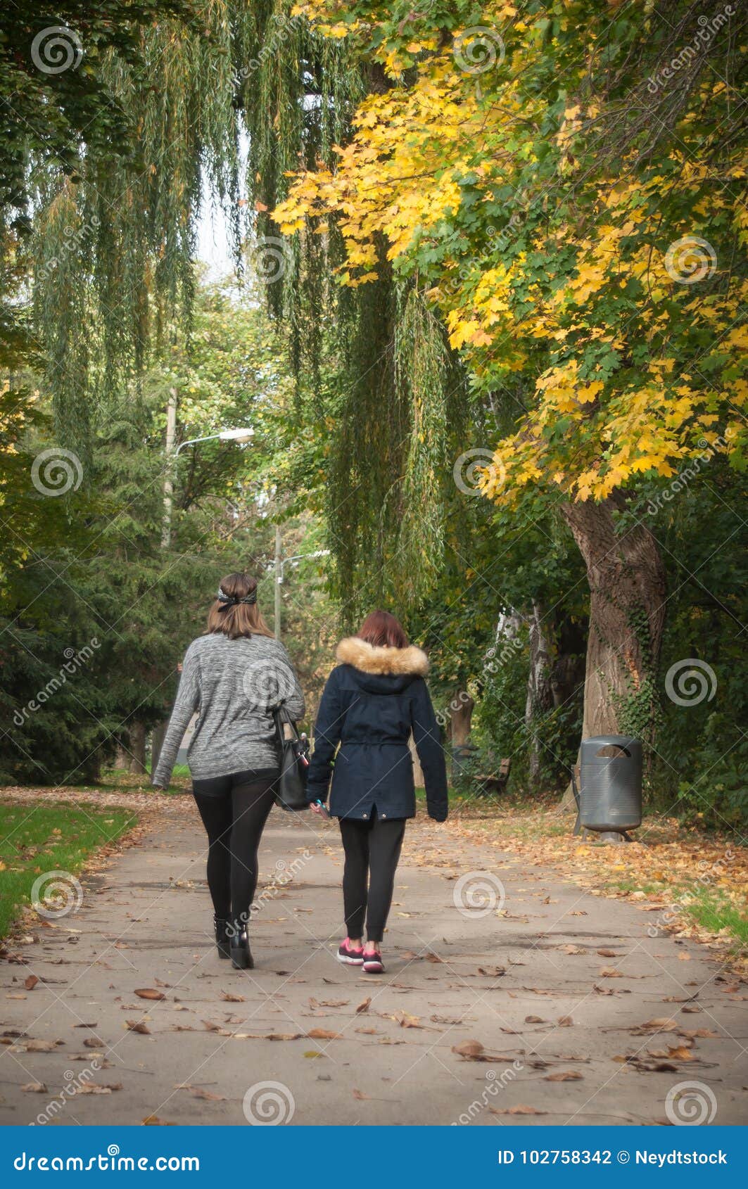 Women Back Walking in Parc with Maple Trees Stock Photo - Image of ...