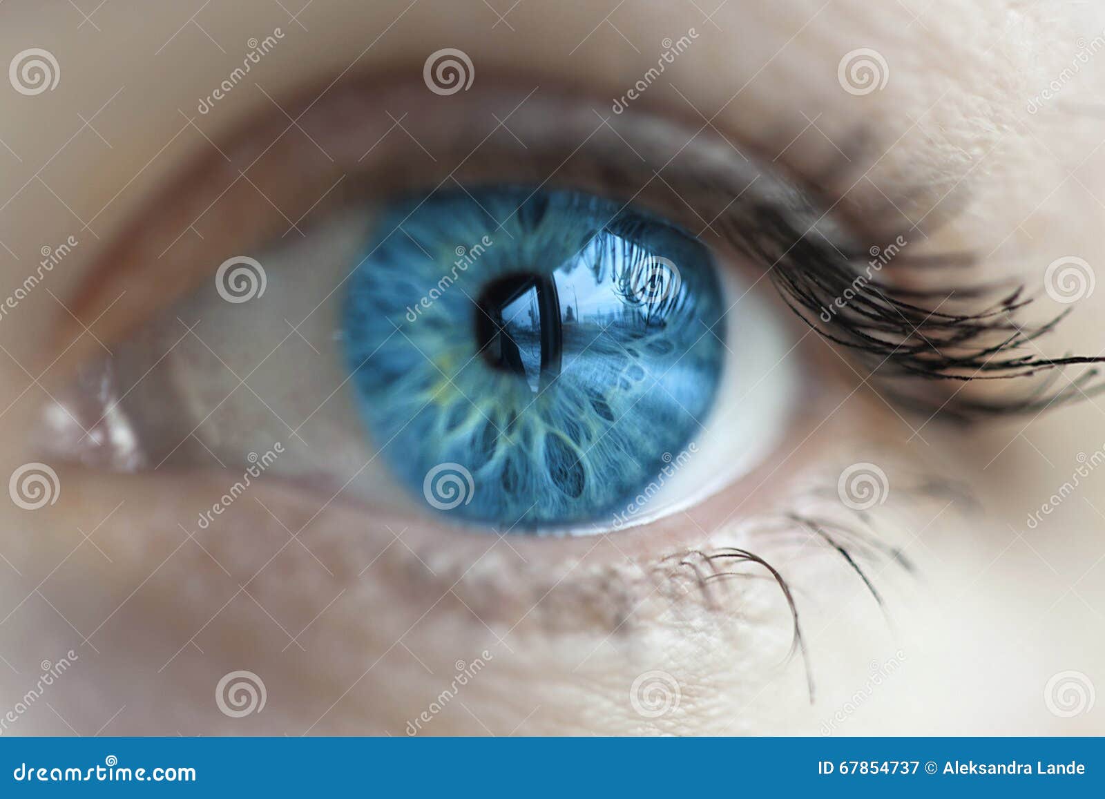 Women blue eye color stock image. Image of macro, close - 67854737