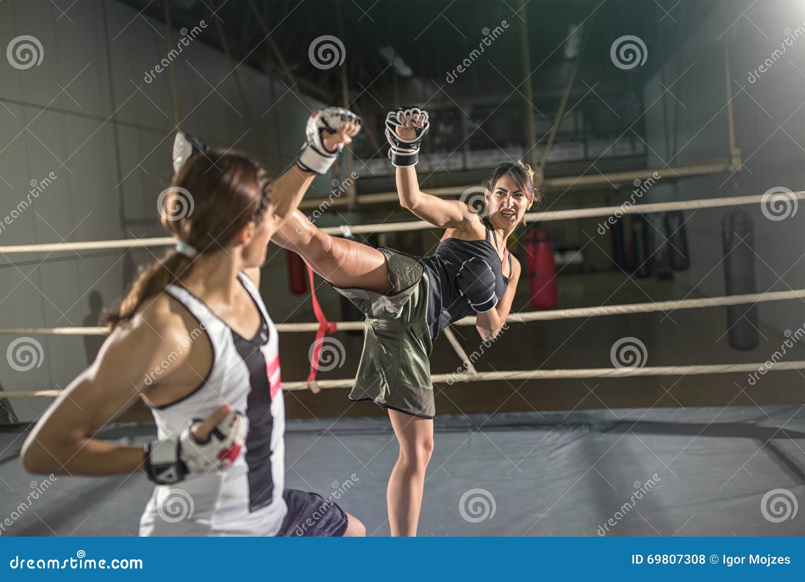 Women Boxer Practicing Body Combat Attack Stock Photo - Image of group ...