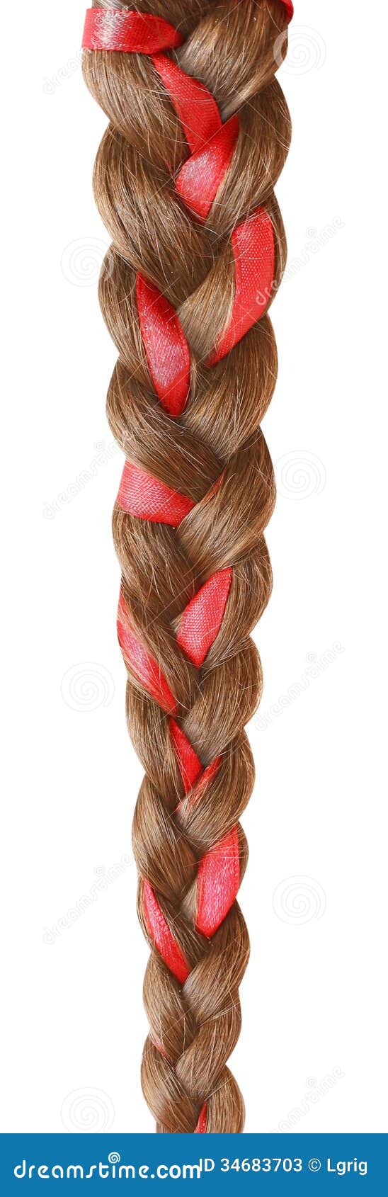 Women Braid Decorated with a Red Ribbon Isolated on White Stock Image ...