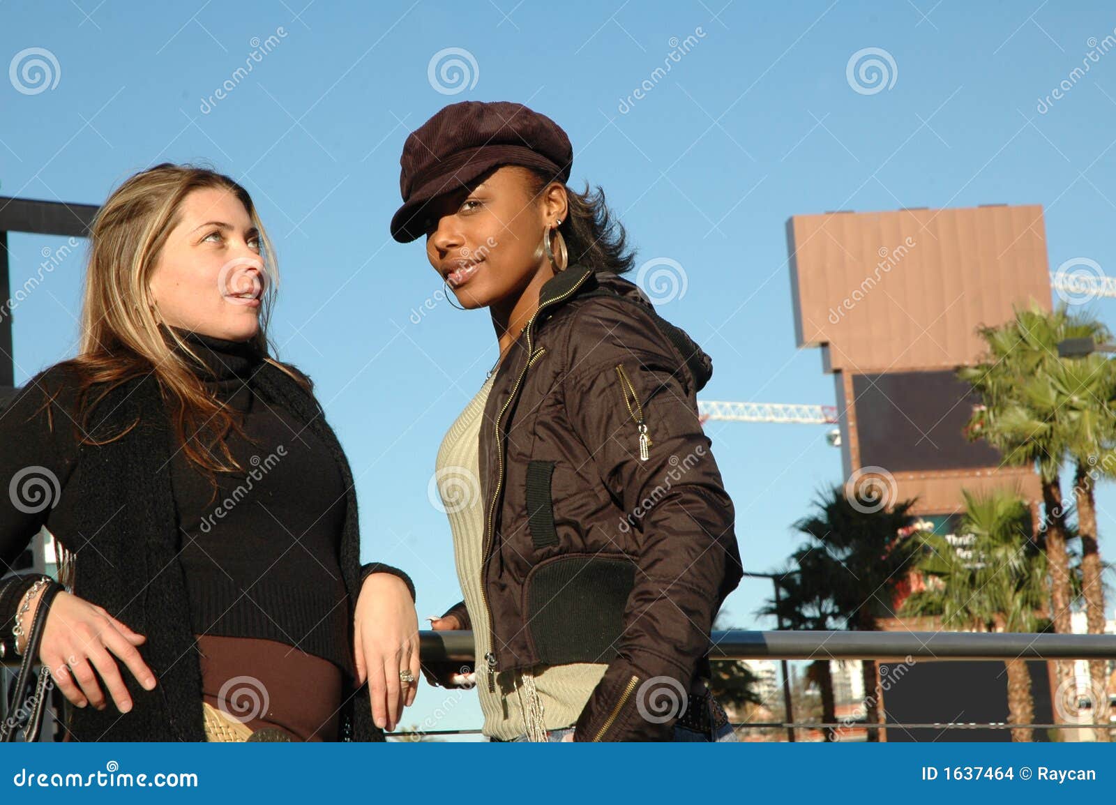 Women Chatting stock photo. Image of casual, chatting - 1637464