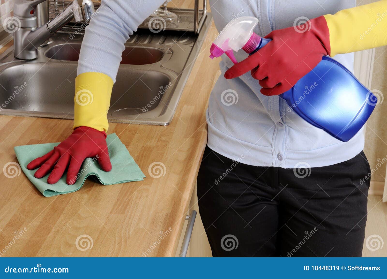 Women cleaning the house stock image. Image of bottles - 18448319