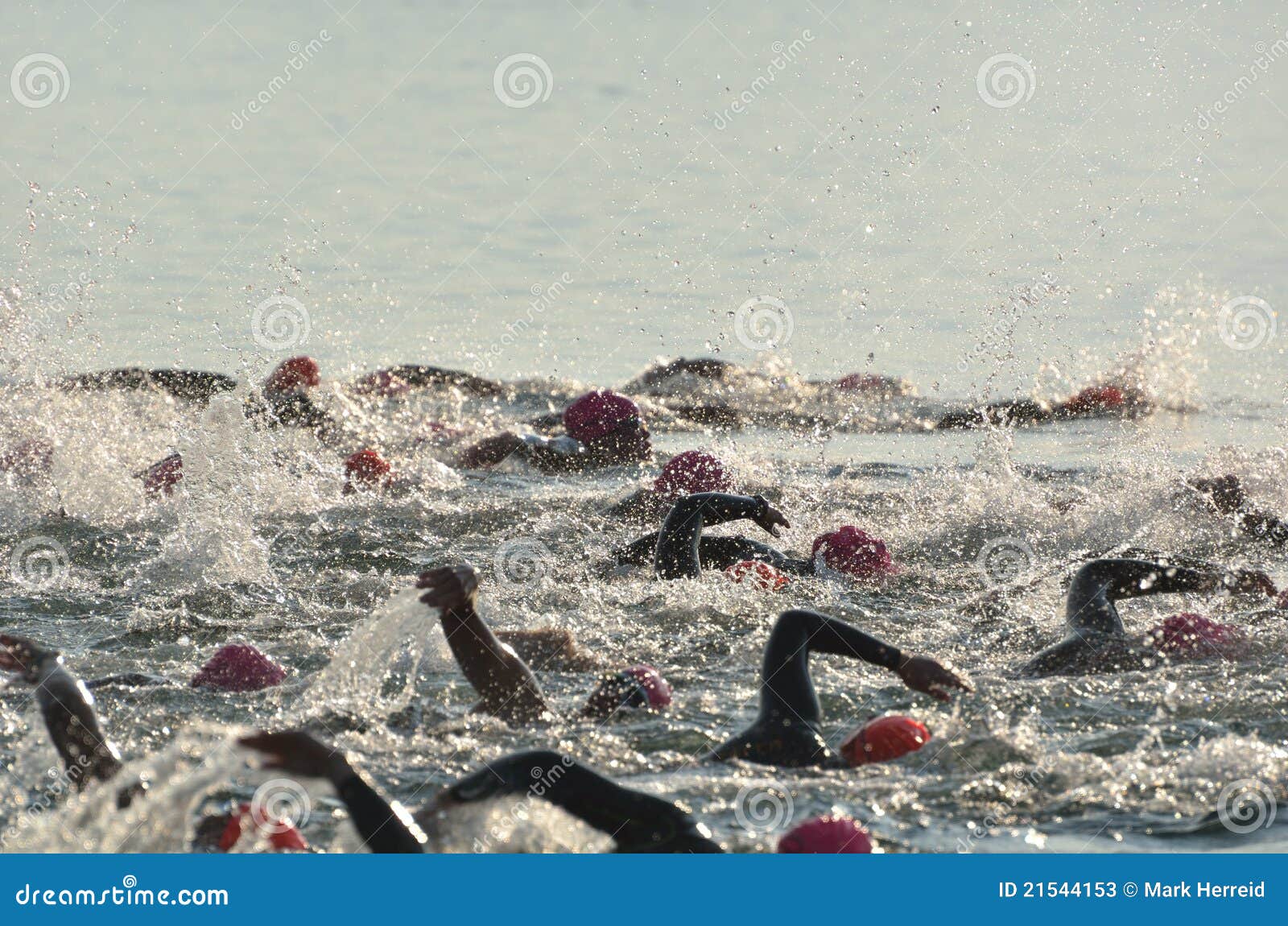 Women Competing in Open Water Swim Race Editorial Stock Photo - Image ...