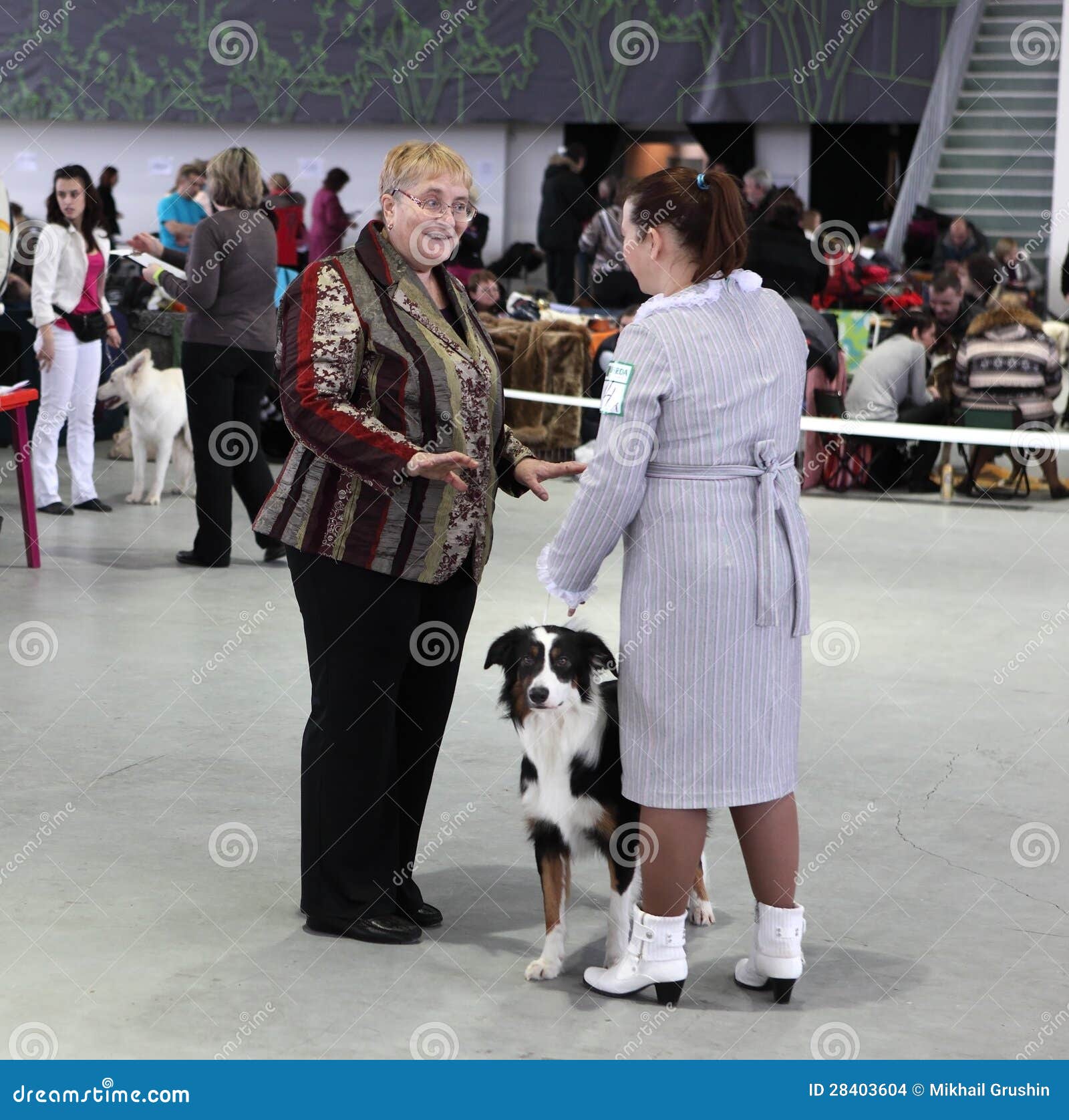 Women and dog on dog show editorial stock image. Image of owner - 28403604