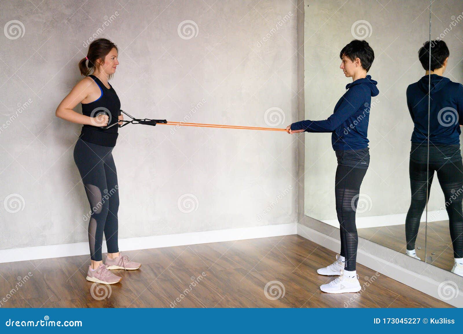 Women Engaged in Strength and Functional Training in the Studio ...
