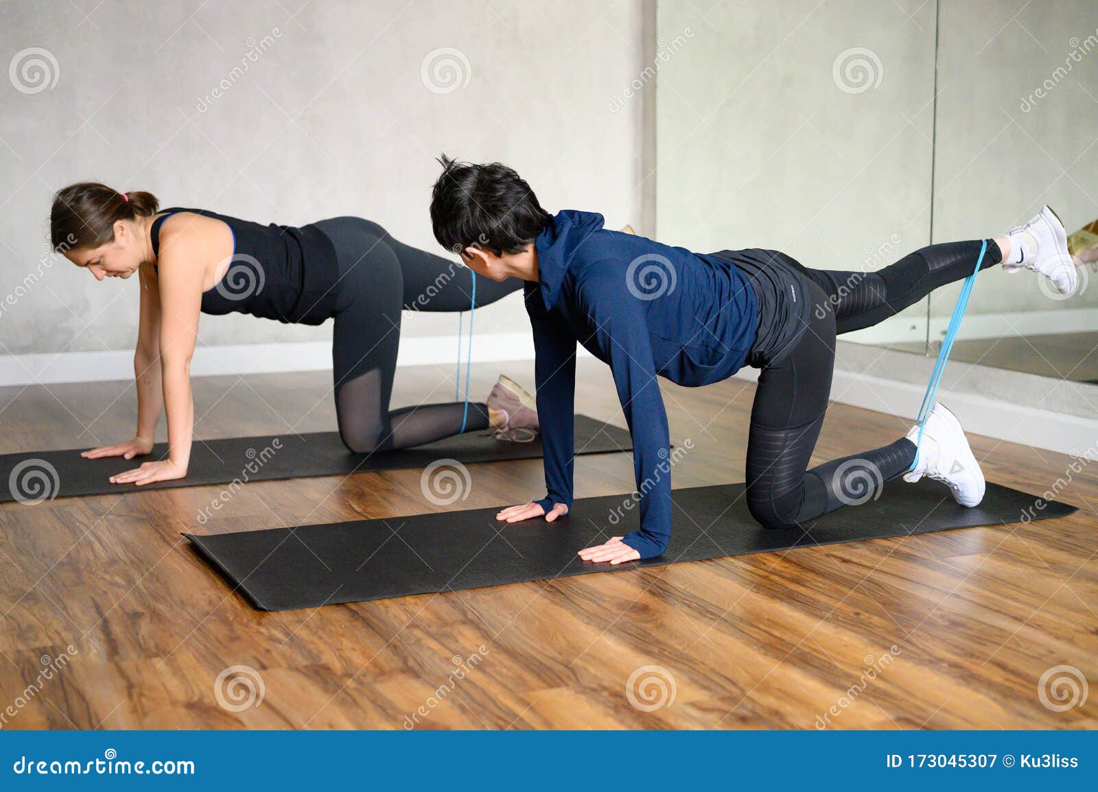 Women Engaged in Strength and Functional Training in the Studio ...