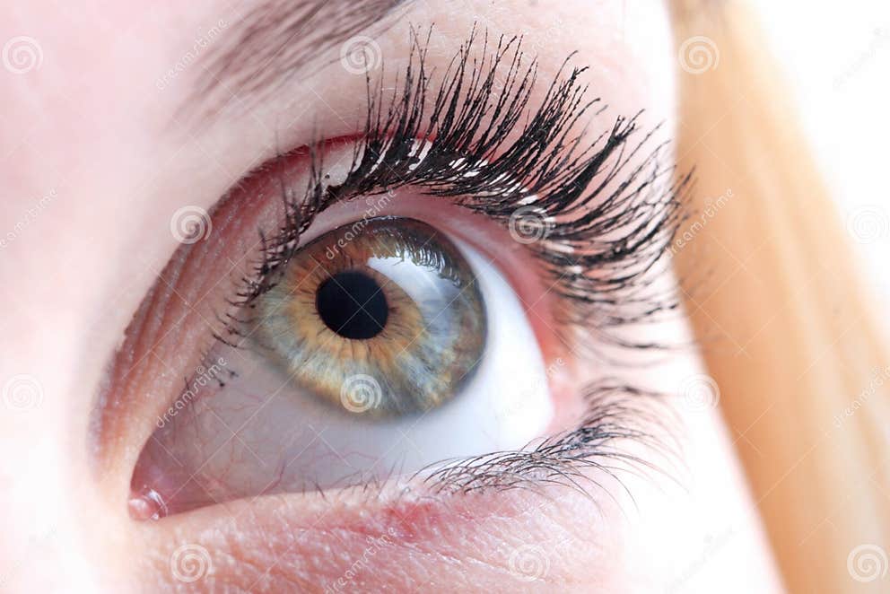 Women eye stock photo. Image of sight, inspiration, health - 2742280