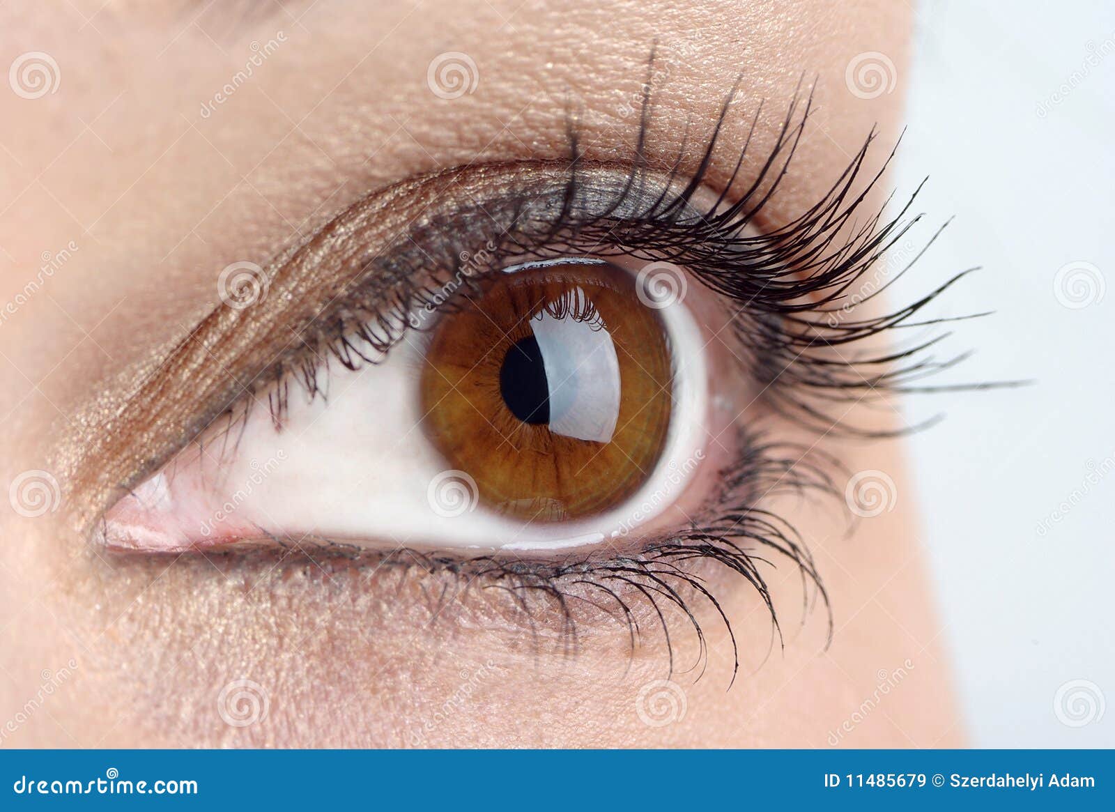 Women eyes stock image. Image of ceremonial, glamour - 11485679