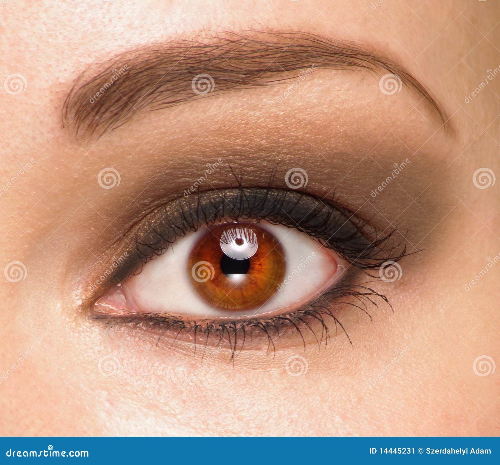 Women eyes stock image. Image of brown, front, iris, close - 14445231
