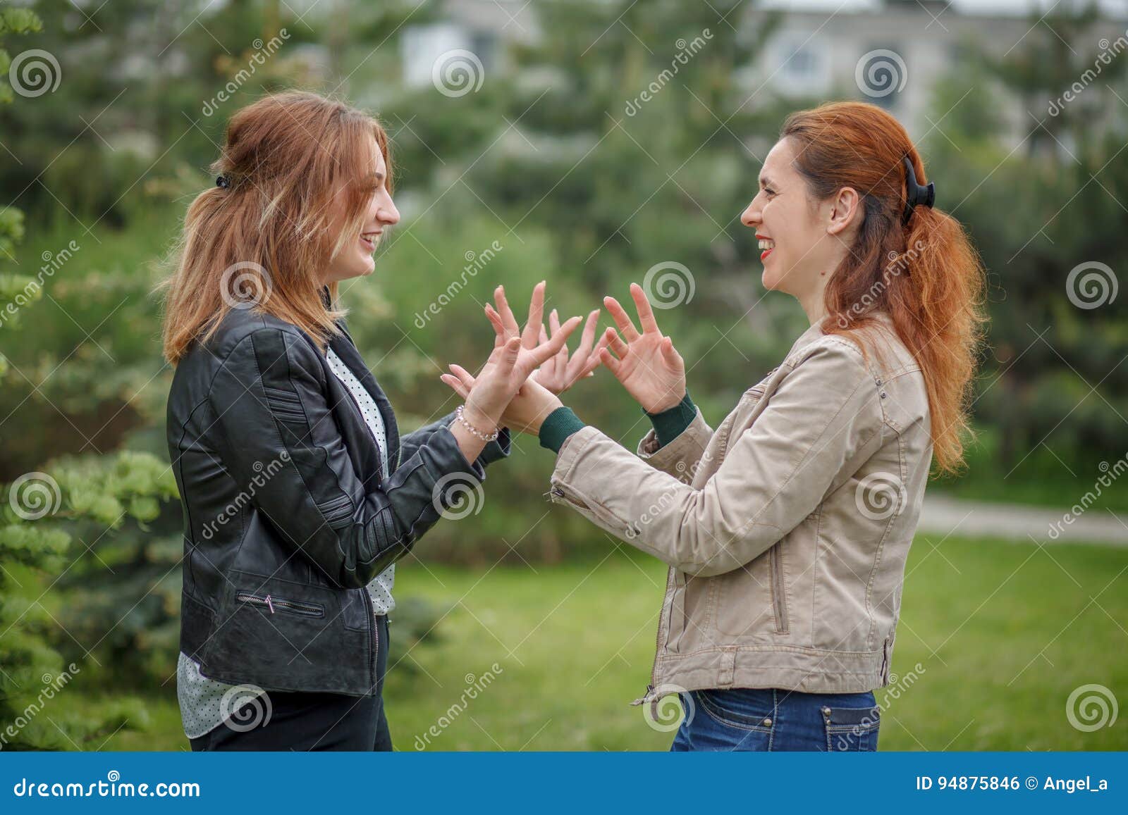 Women Face To Face Having Conversation Gesticulate with Hands Stock ...