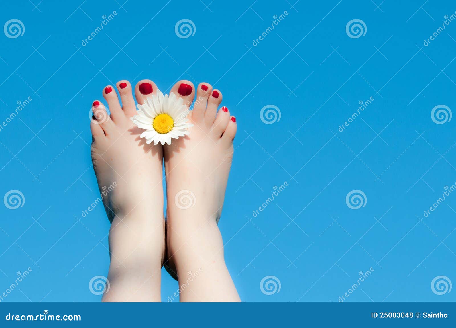 Women feet and flower stock photo. Image of blue, rest - 25083048