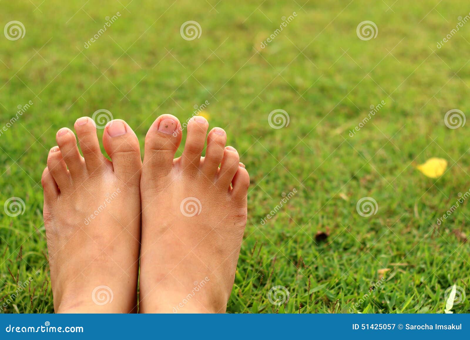 Women feet in the grass stock image. Image of bright - 51425057