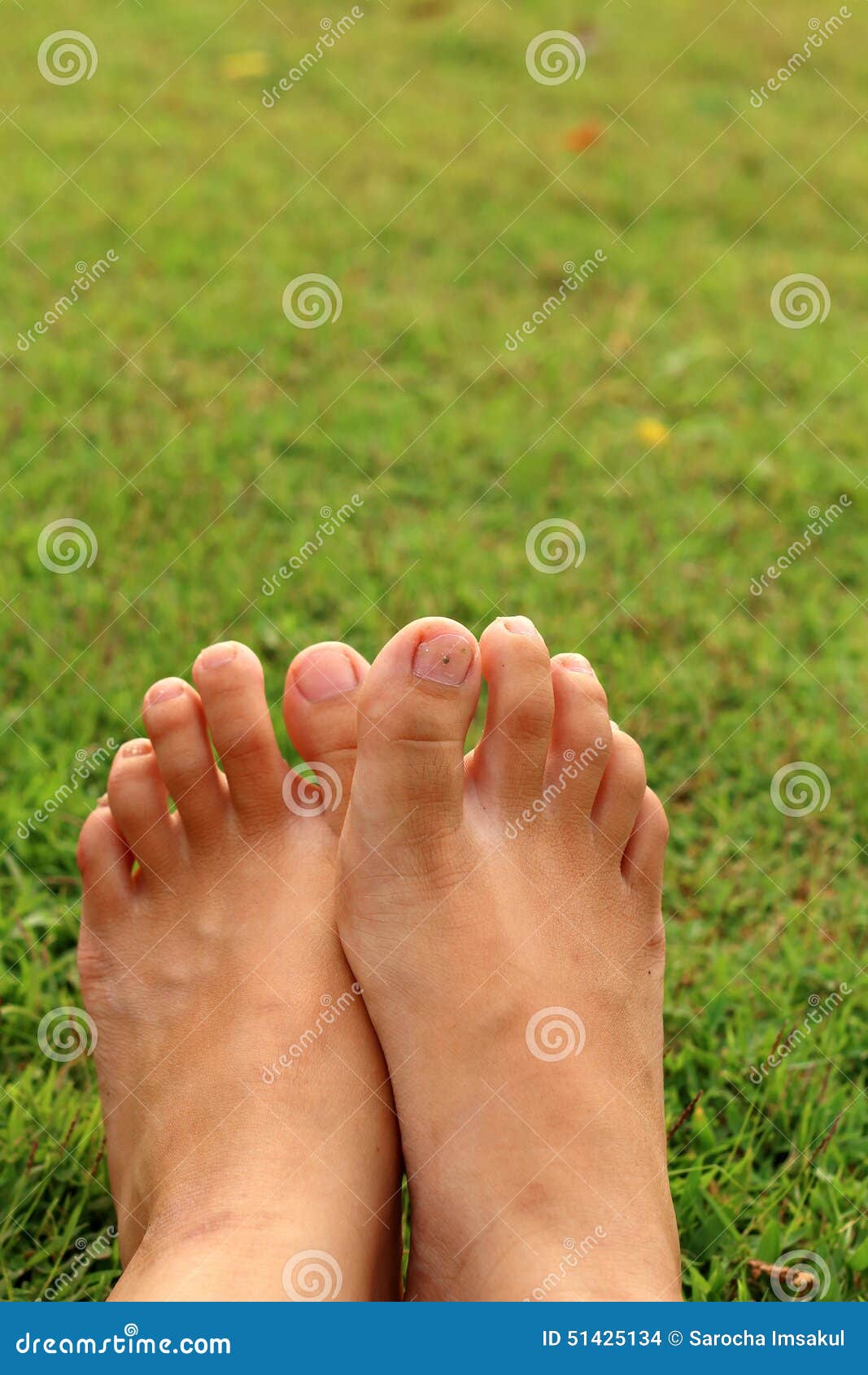 Women feet in the grass stock photo. Image of clean, cute - 51425134
