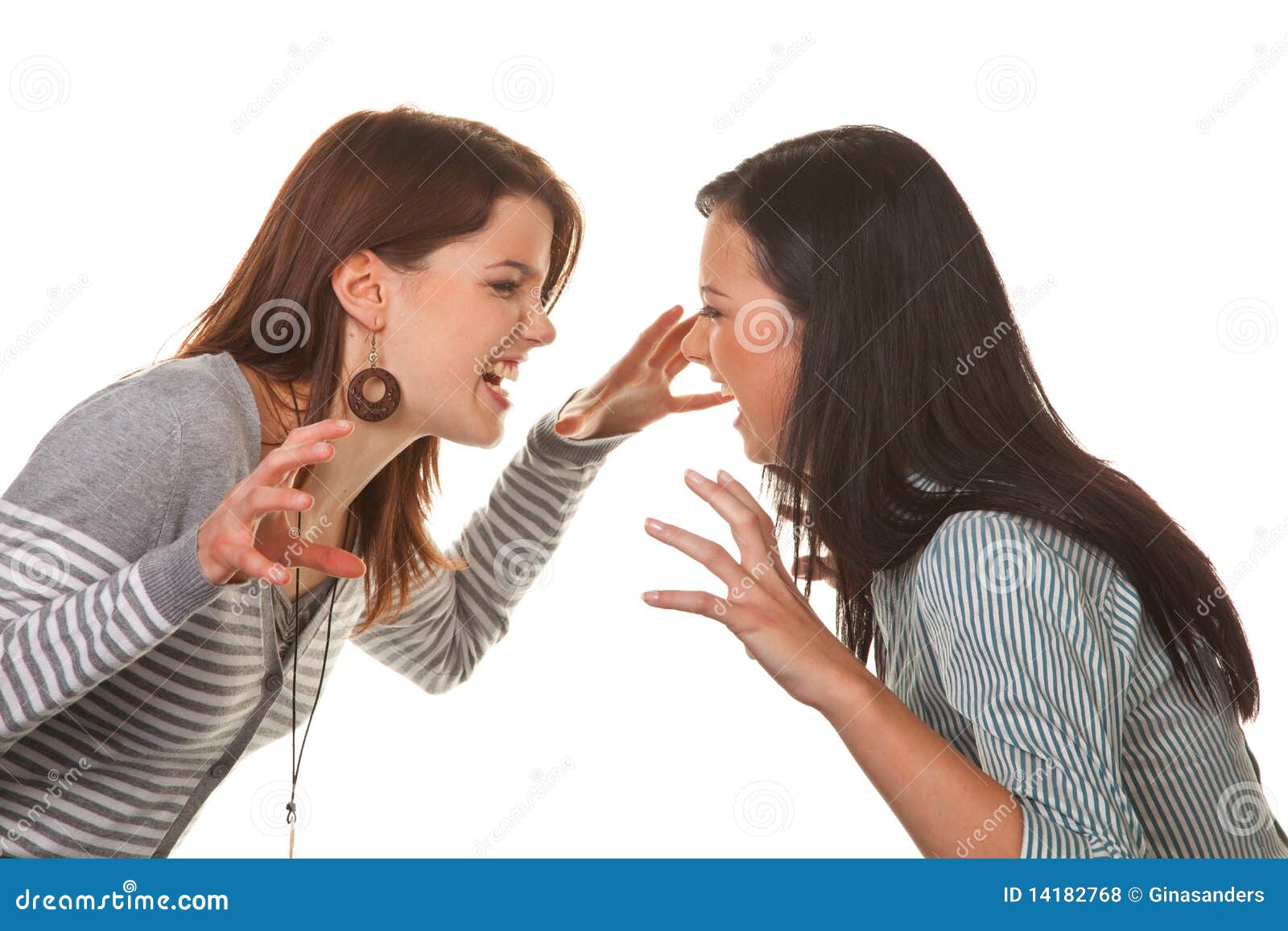 Women fight stock photo. Image of odds, female, jealous - 14182768